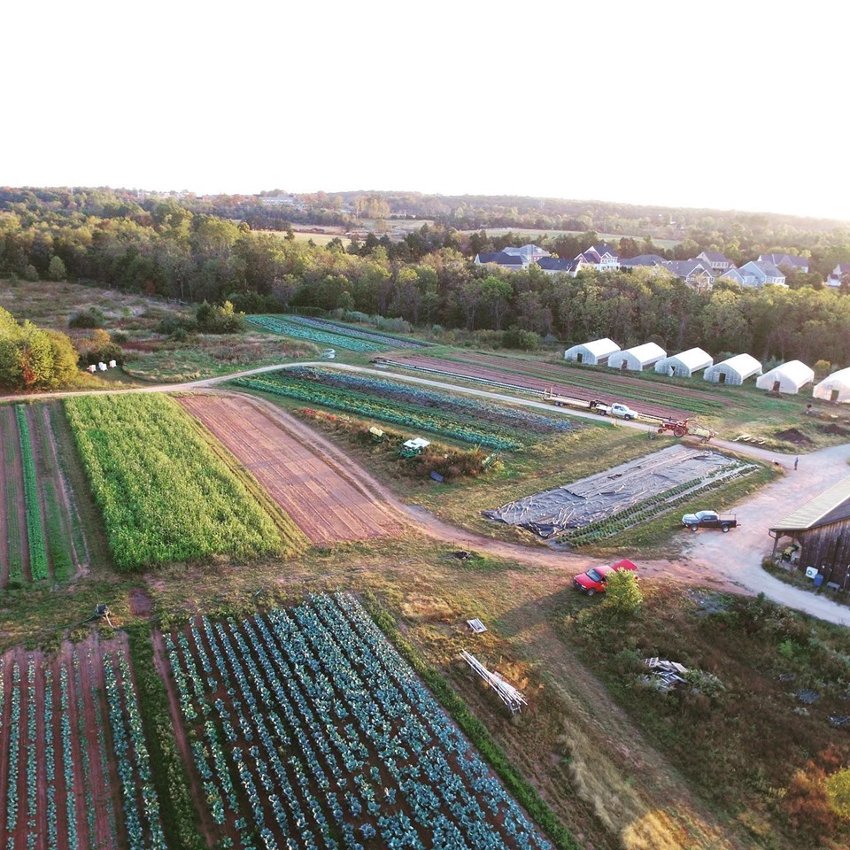 Willowsford Farm - At Your Doorstep! - Farm Happenings at Willowsford ...