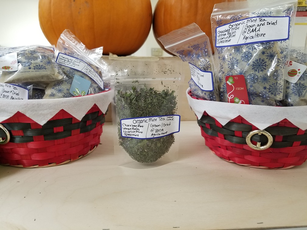 Mint Tea Now Available - Farm Happenings at BMA FARM - Harvie