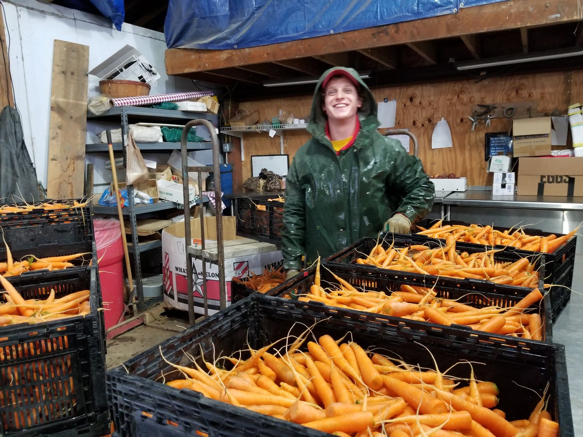 RP-Farm Happenings (Delivery 4 Fall/Winter out of 8) - Farm Happenings ...