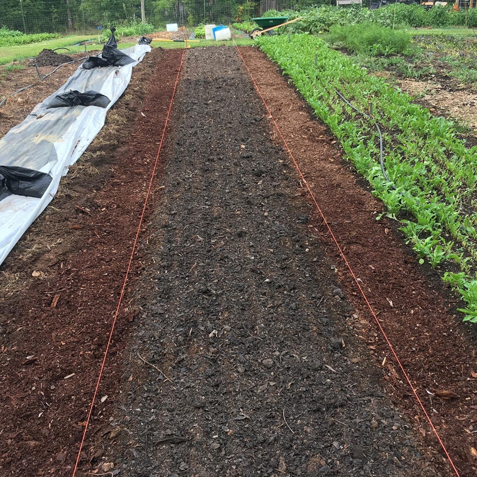 What a beautiful spring! Tips for your own garden. - Farm Happenings at ...