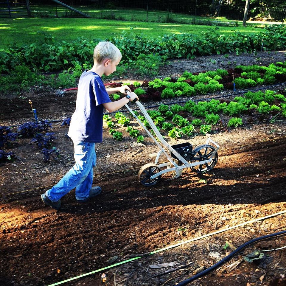 The Benefits of Mulch - Farm Happenings at Rora Valley Farms - Harvie