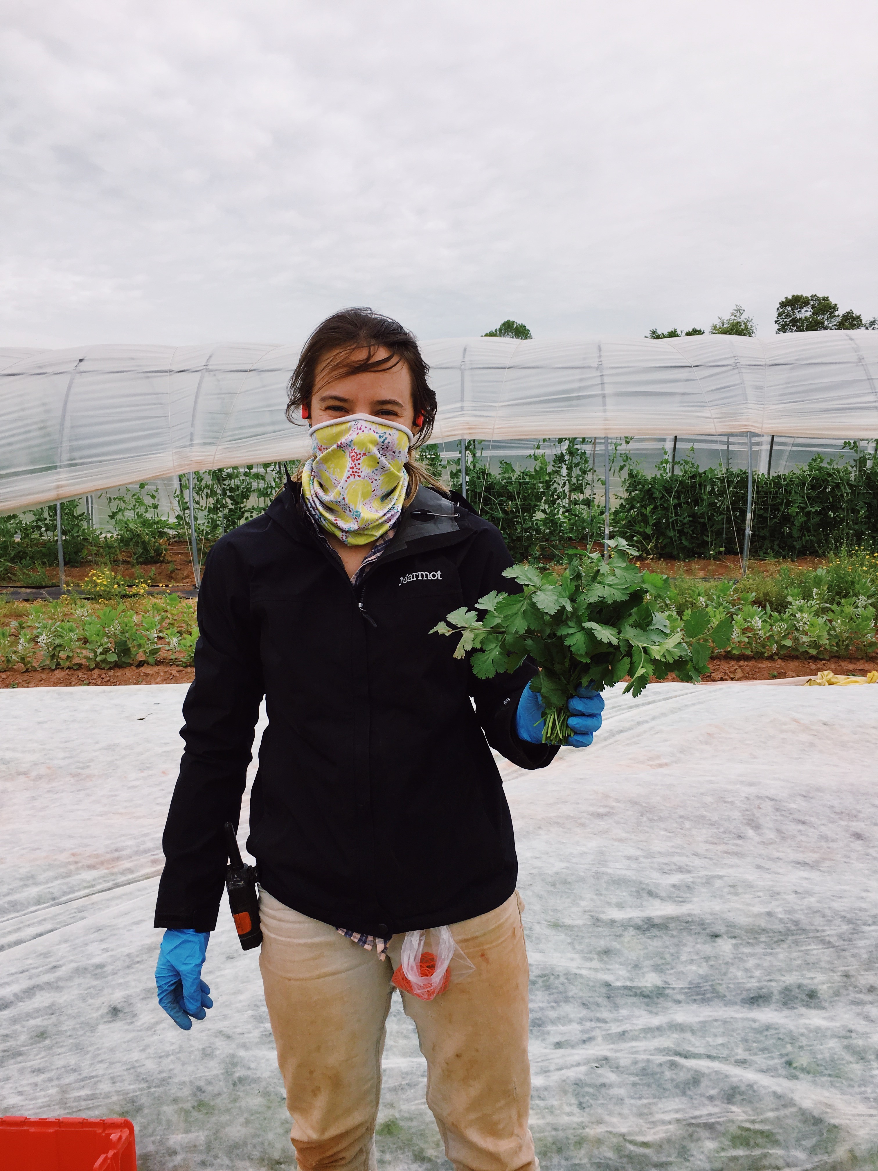 The New Normal - Farm Happenings at Willowsford Farm - Harvie