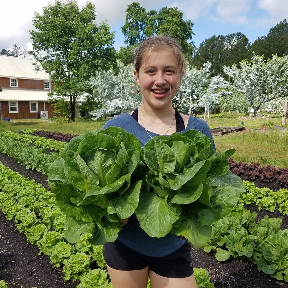 Farm Happenings for May 27, 2020 - Farm Happenings at Broadfork Farm ...