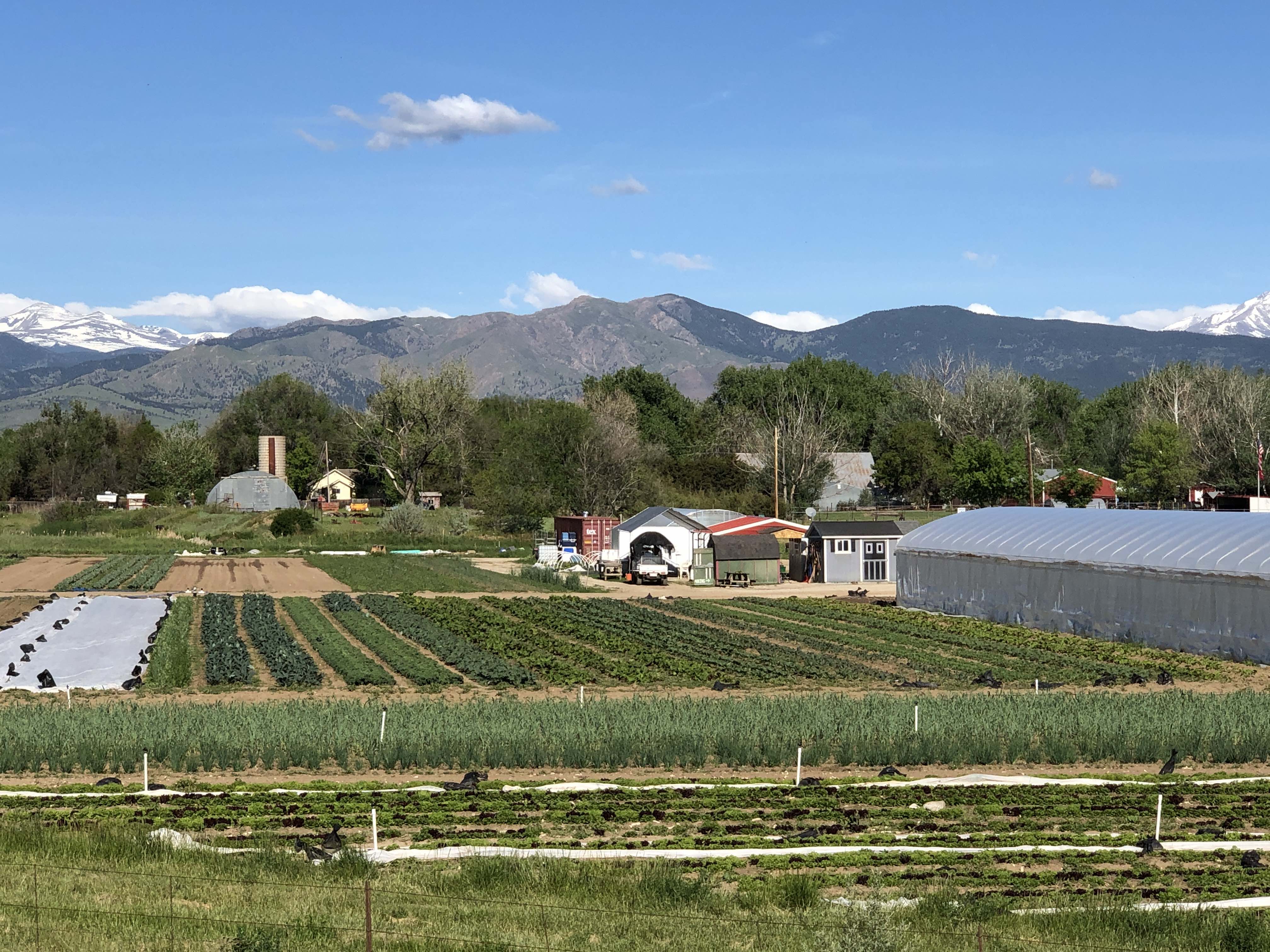 The 2020 CSA Season Begins - Farm Happenings at Kilt Farm - Harvie