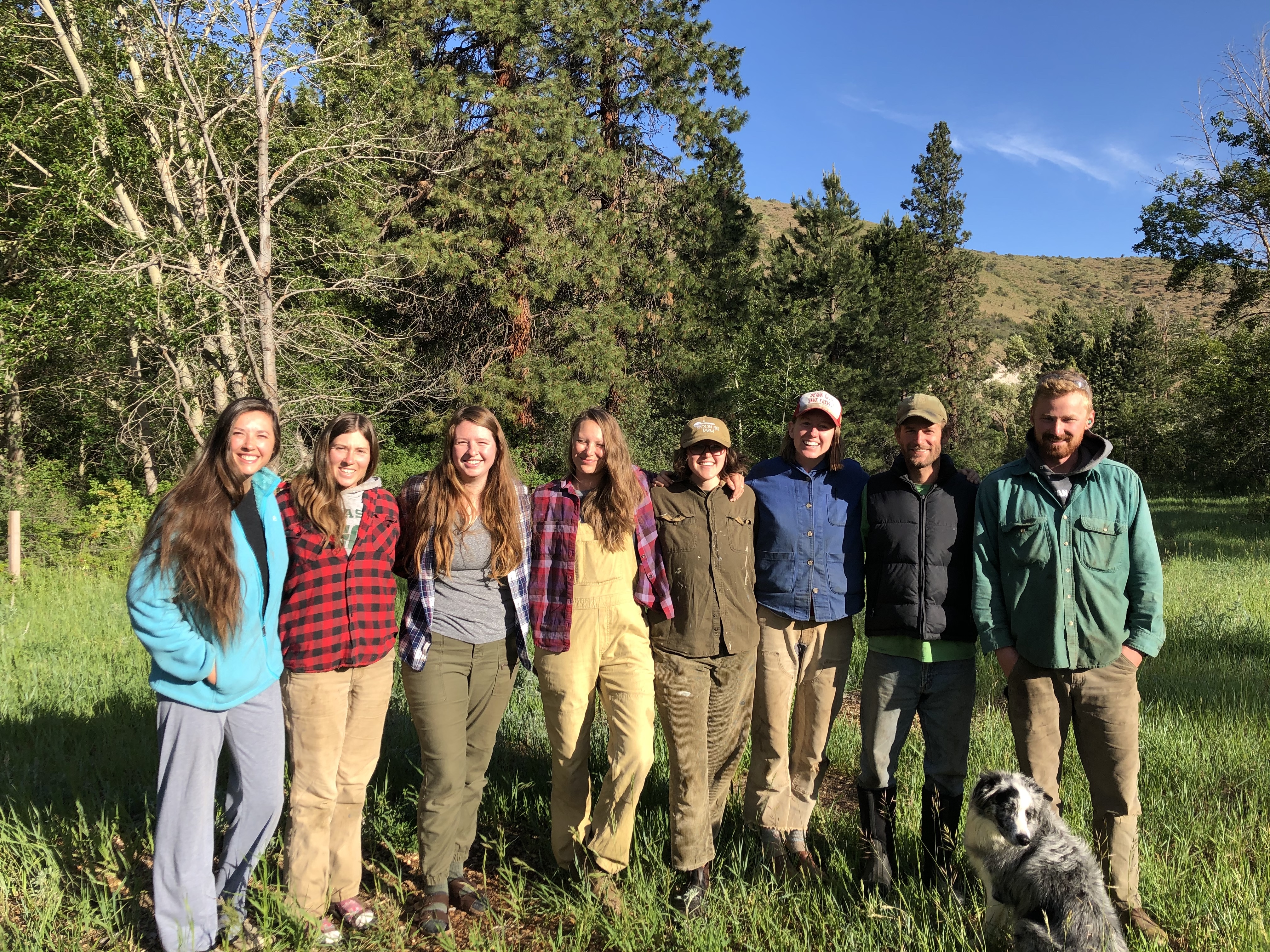 The start of a delicious summer - Farm Happenings at Spoon Full Farm ...