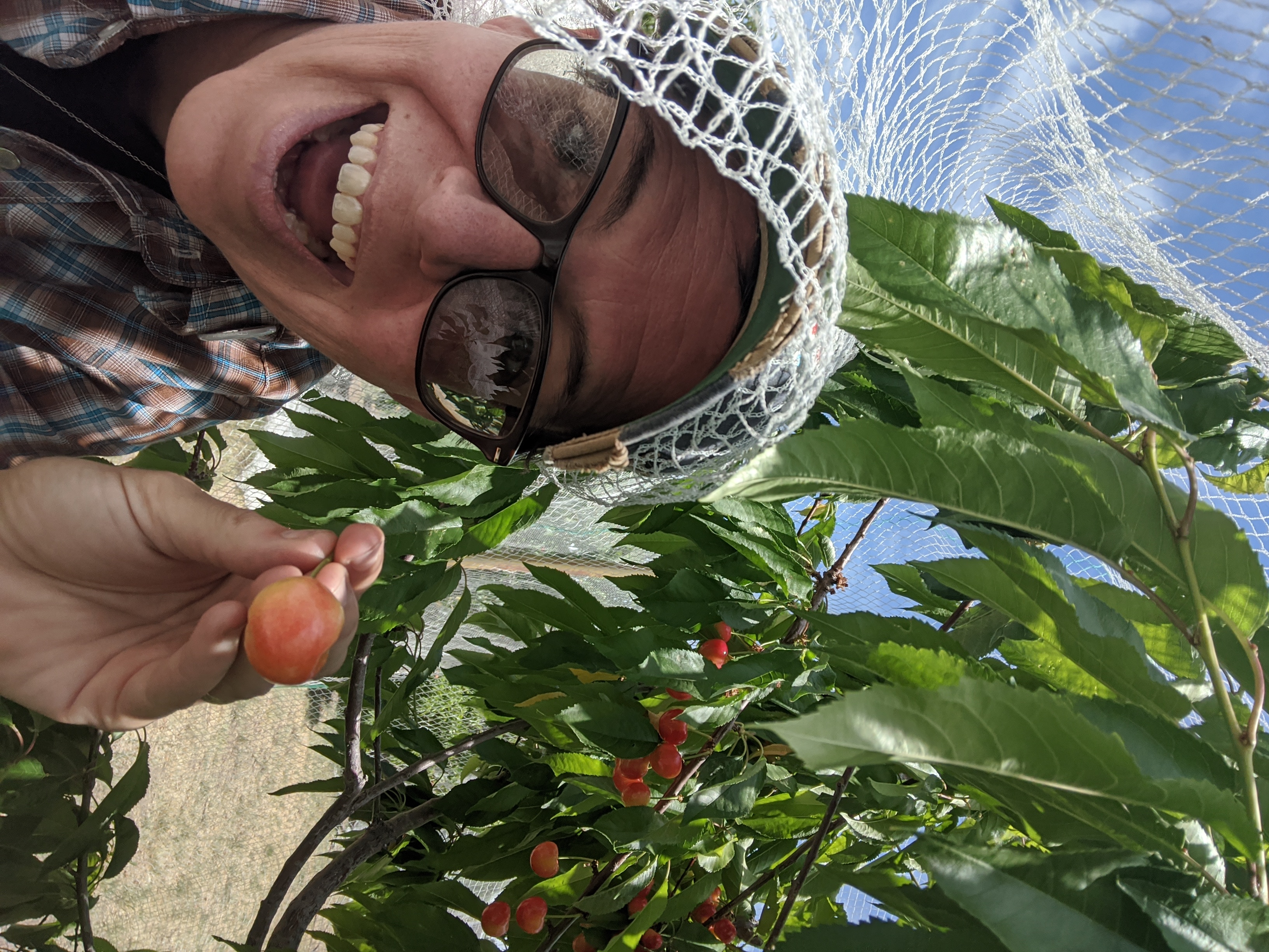 What's Happening - June 23rd & 25th - Farm Happenings at Fallon Food ...