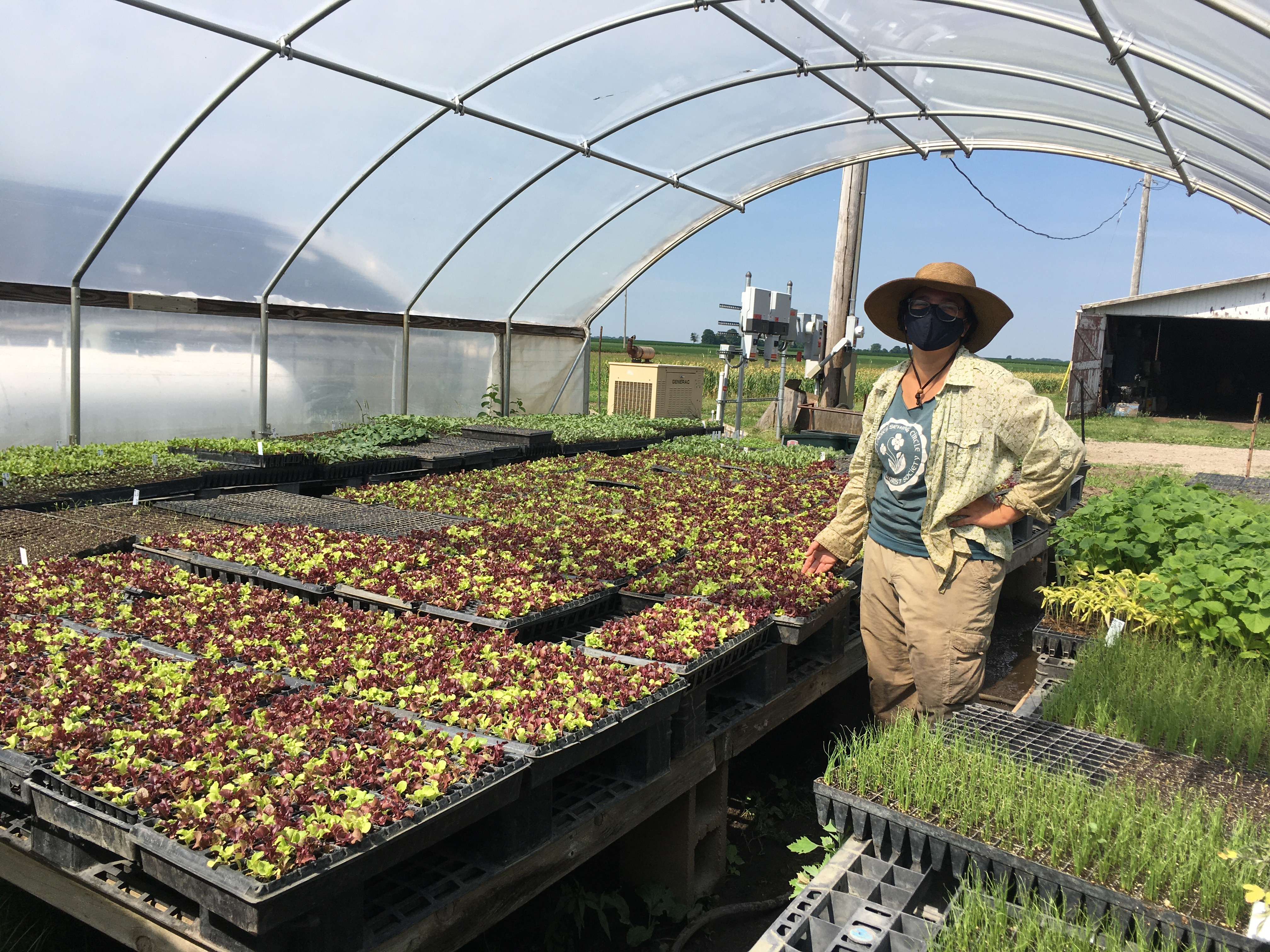 Farm Happenings July 1st: Sea of Salad - Farm Happenings at Blue Moon ...