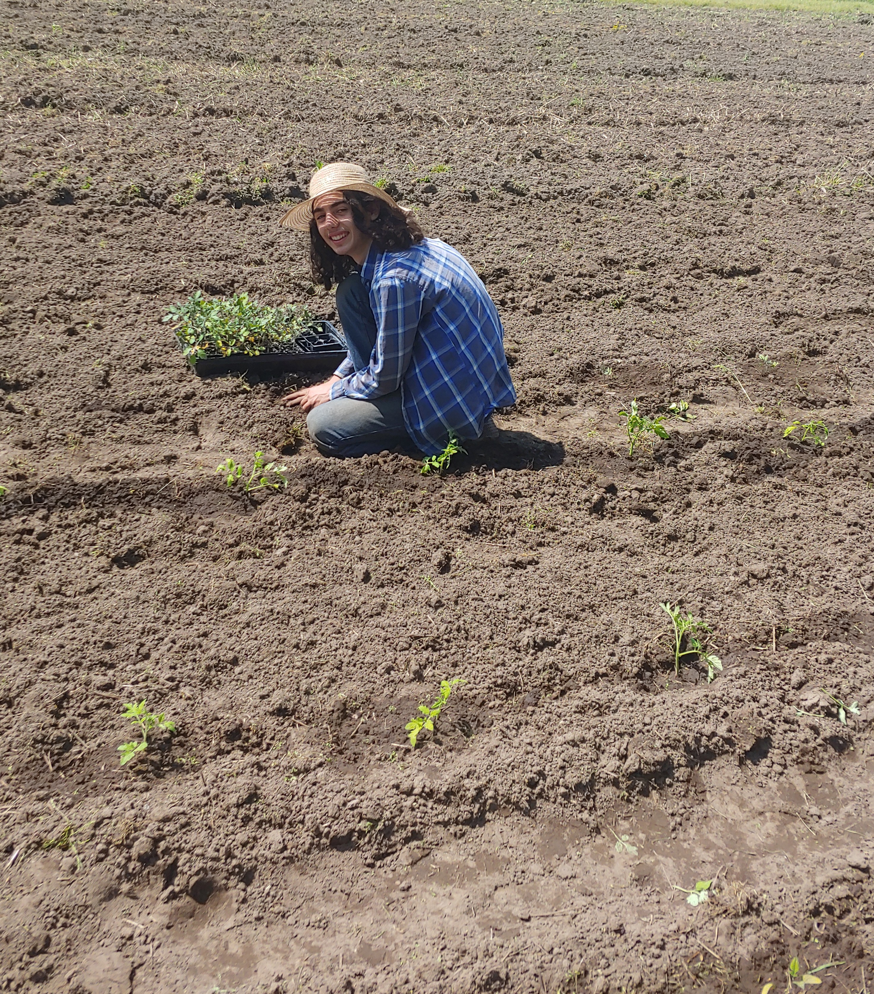 Meet David - Farm Happenings at Shared Harvest Community Farm and ...