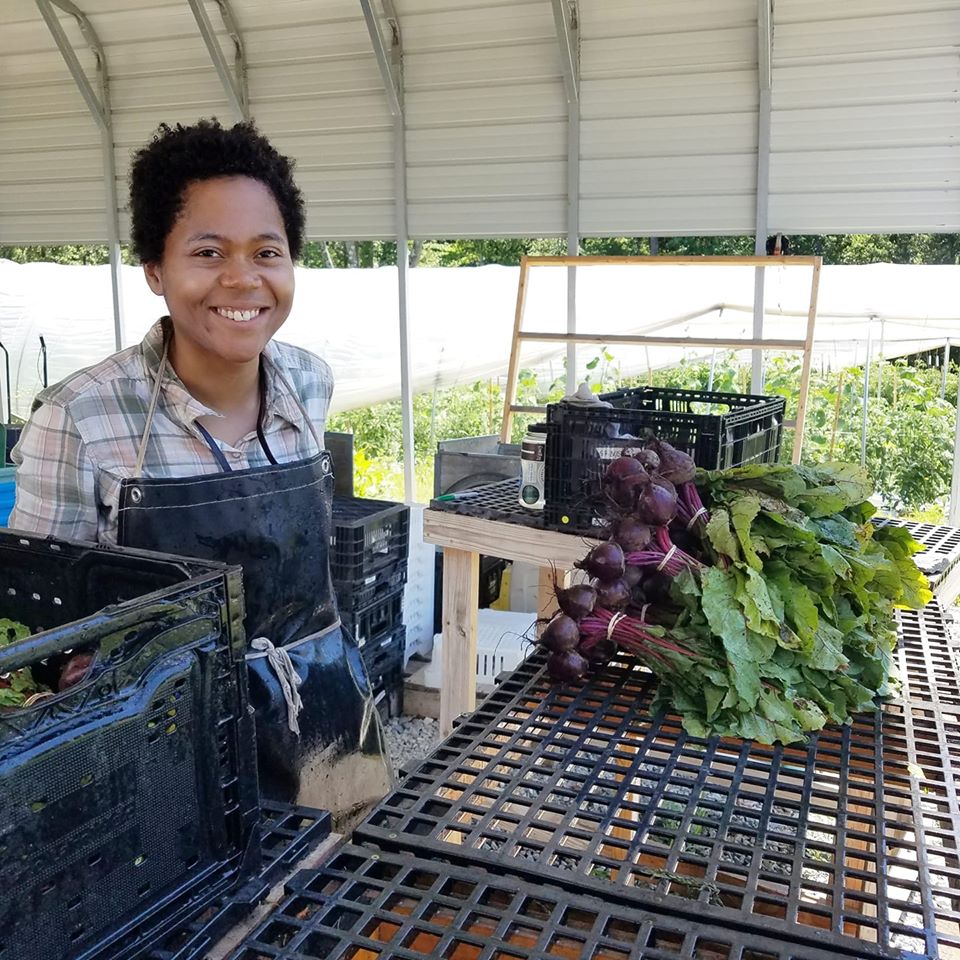 Remember Tomatoes are separate from the green boxes! - Farm Happenings ...