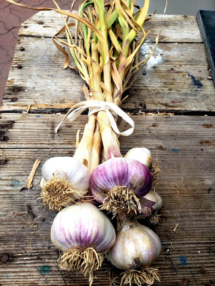 What's Happening - July 14th & 16th - Farm Happenings at Fallon Food ...