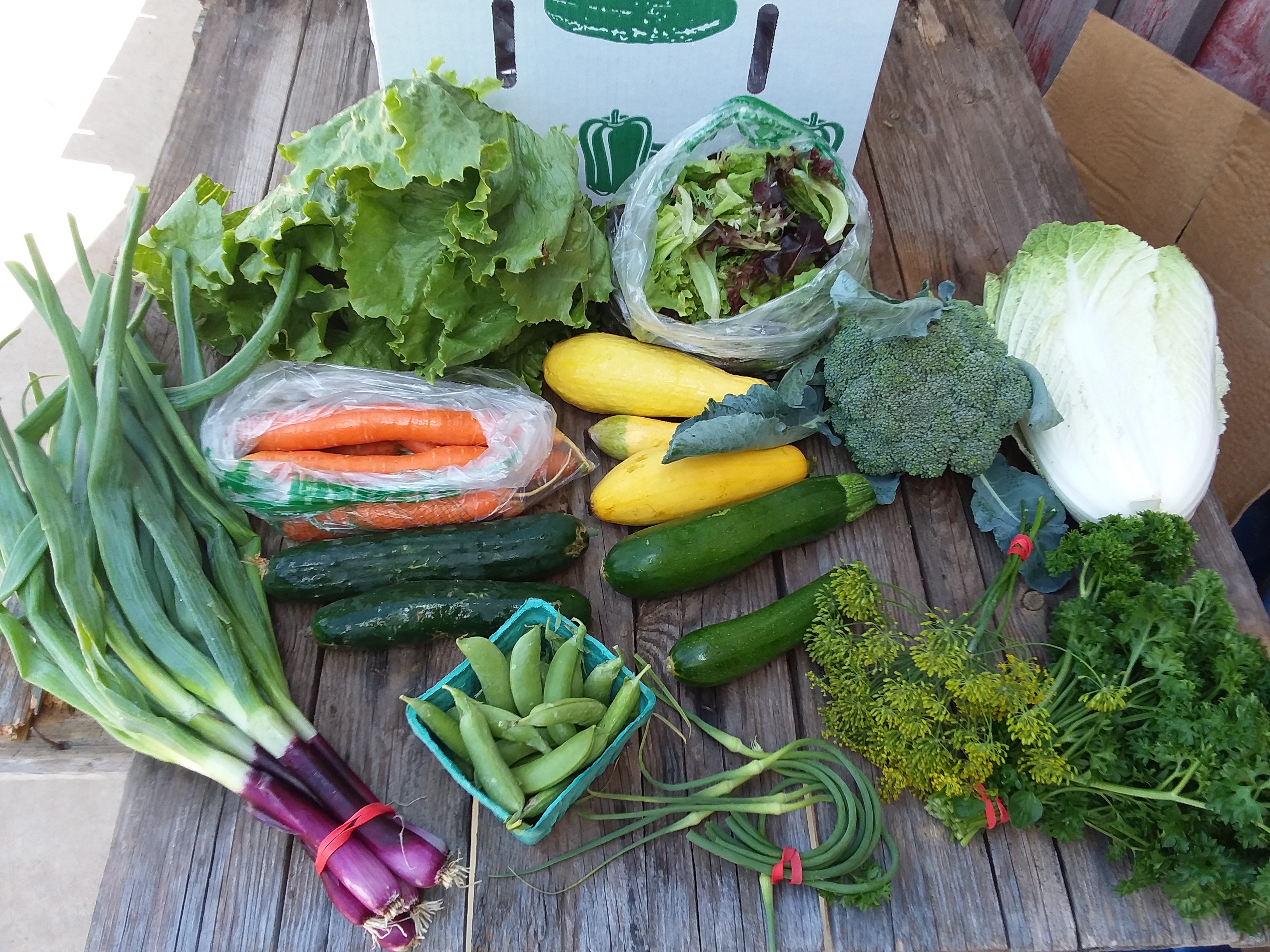 CSA box 6 (Click On Continue Reading to see whole newsletter!) - Farm ...