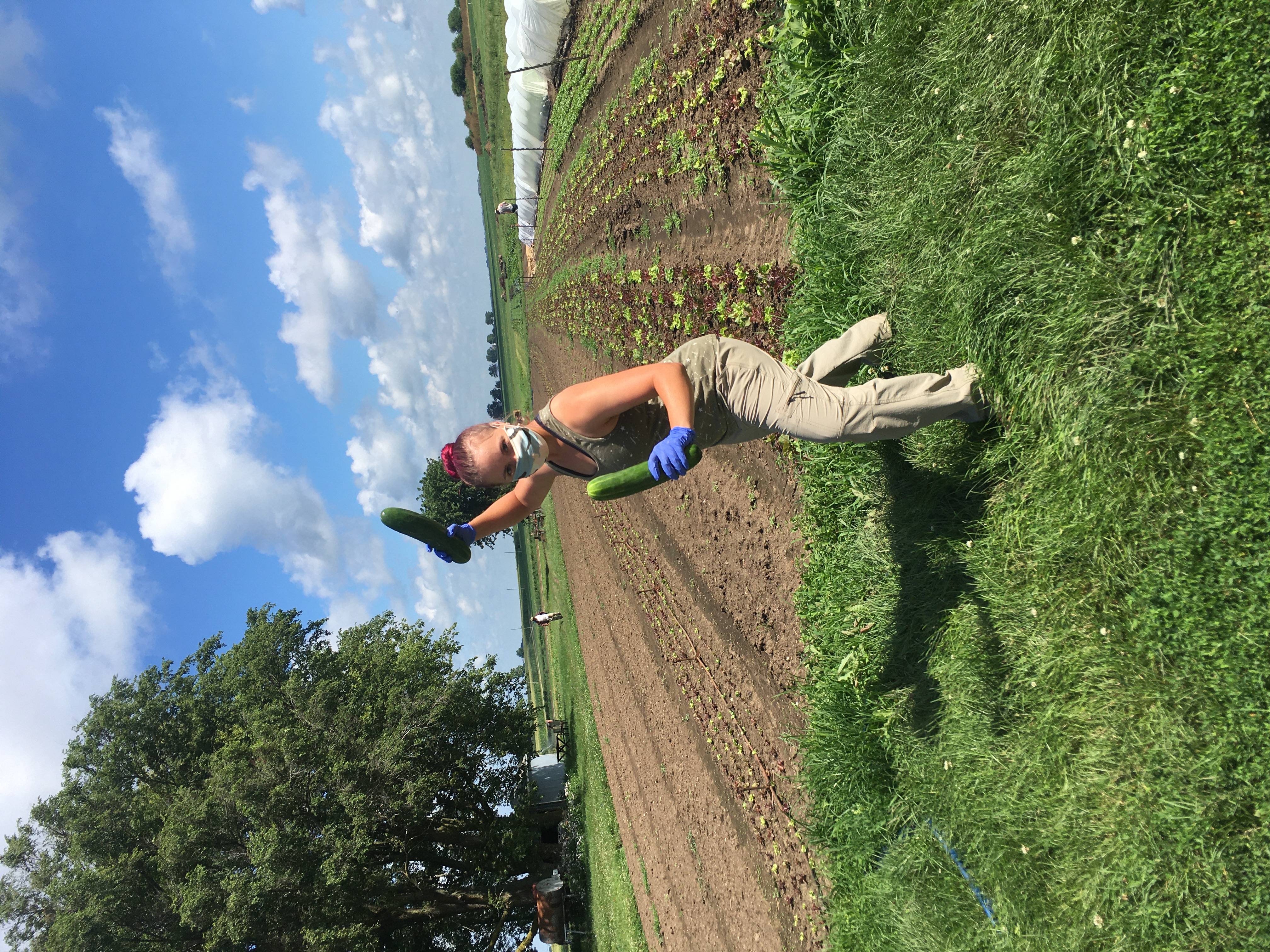 Farm Happenings for July 22, 2020: It's Already Mid-July? - Farm ...