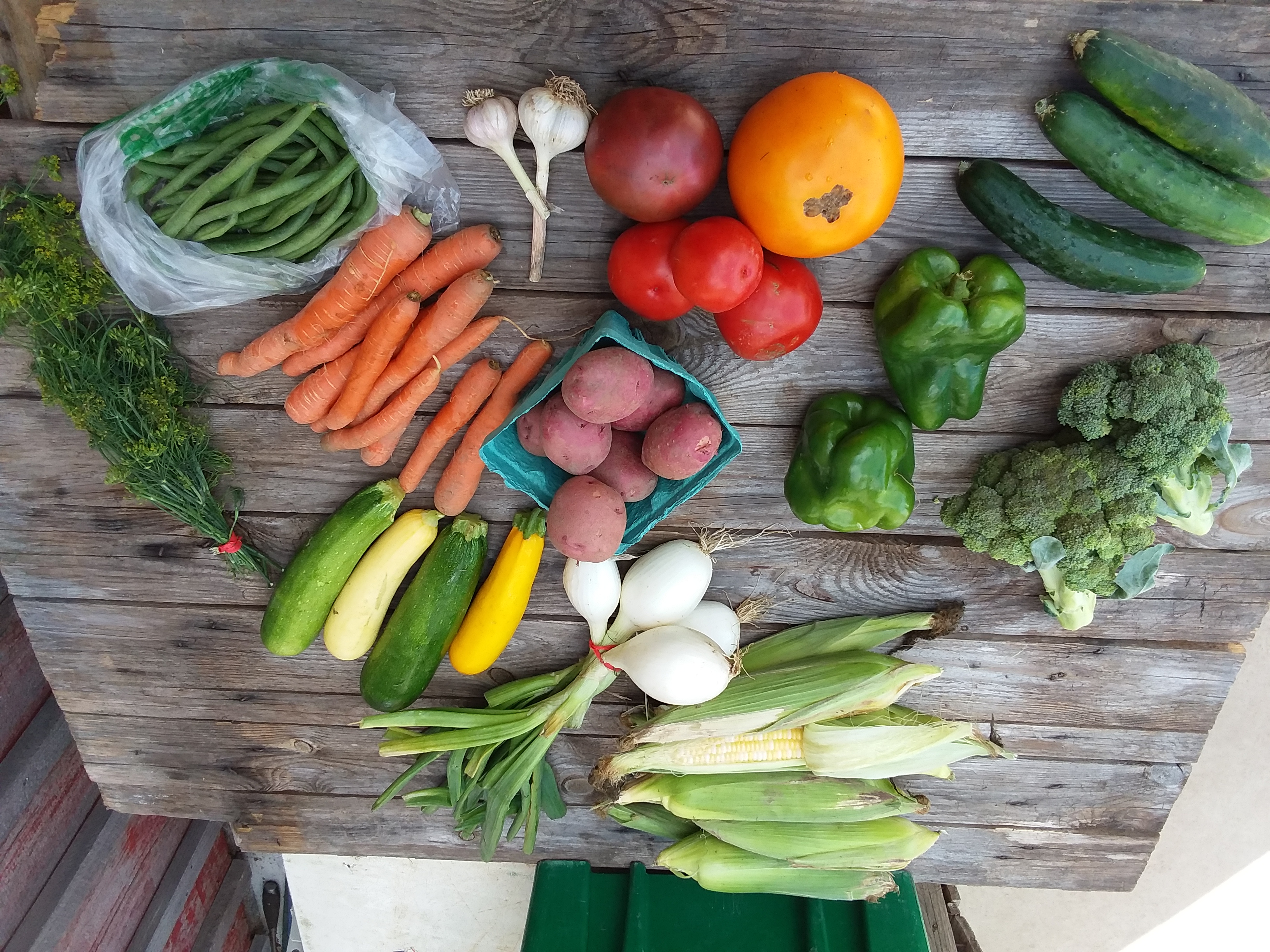 CSA Box #9 (Click on Continue Reading to see whole newsletter) - Farm ...
