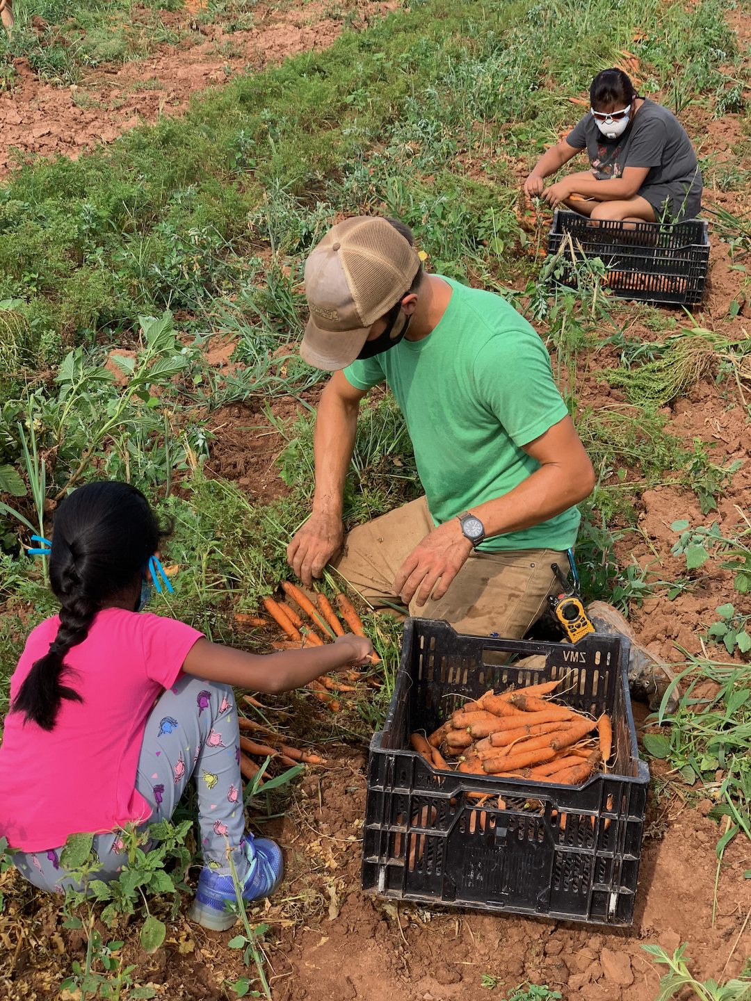 Many Hands - Farm Happenings at Willowsford Farm - Harvie