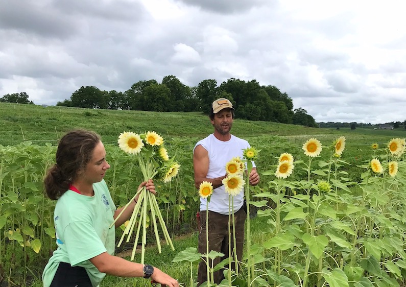 Half way through and new things coming! - Farm Happenings at Earth ...