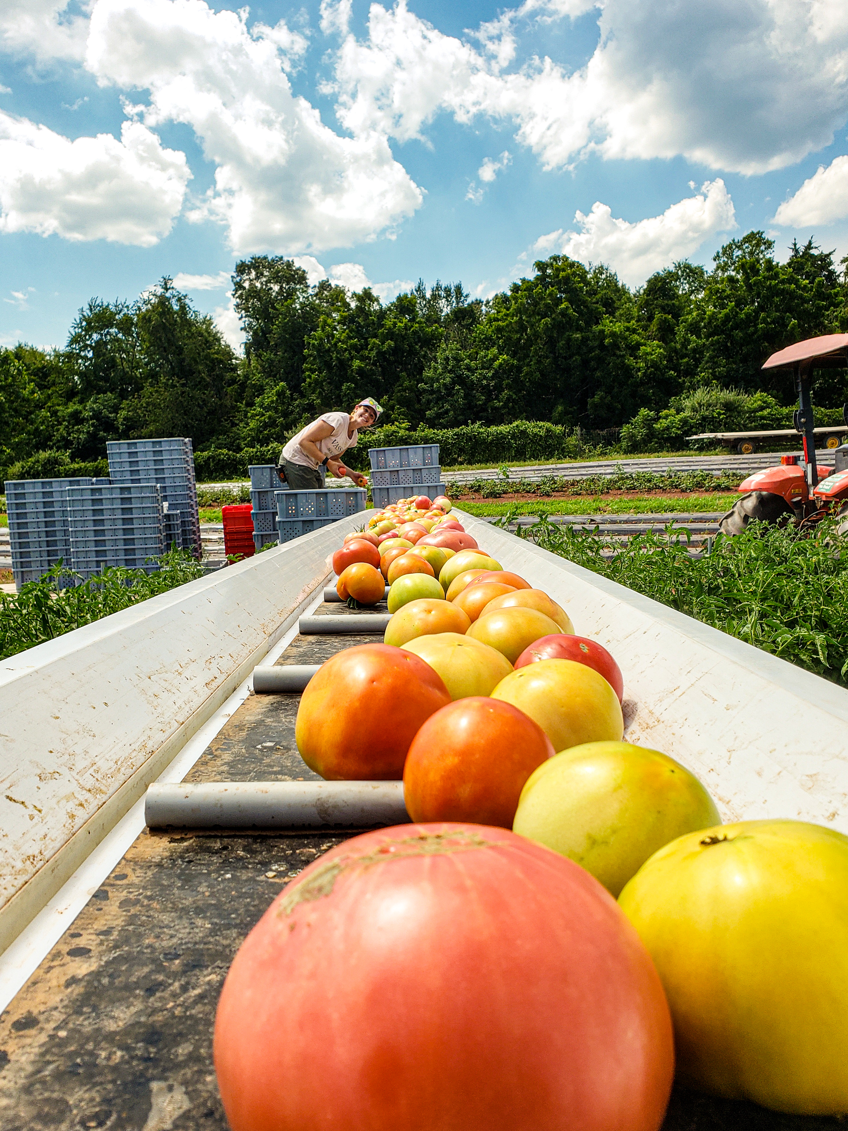 Rise of the Machines - Farm Happenings at Willowsford Farm - Harvie