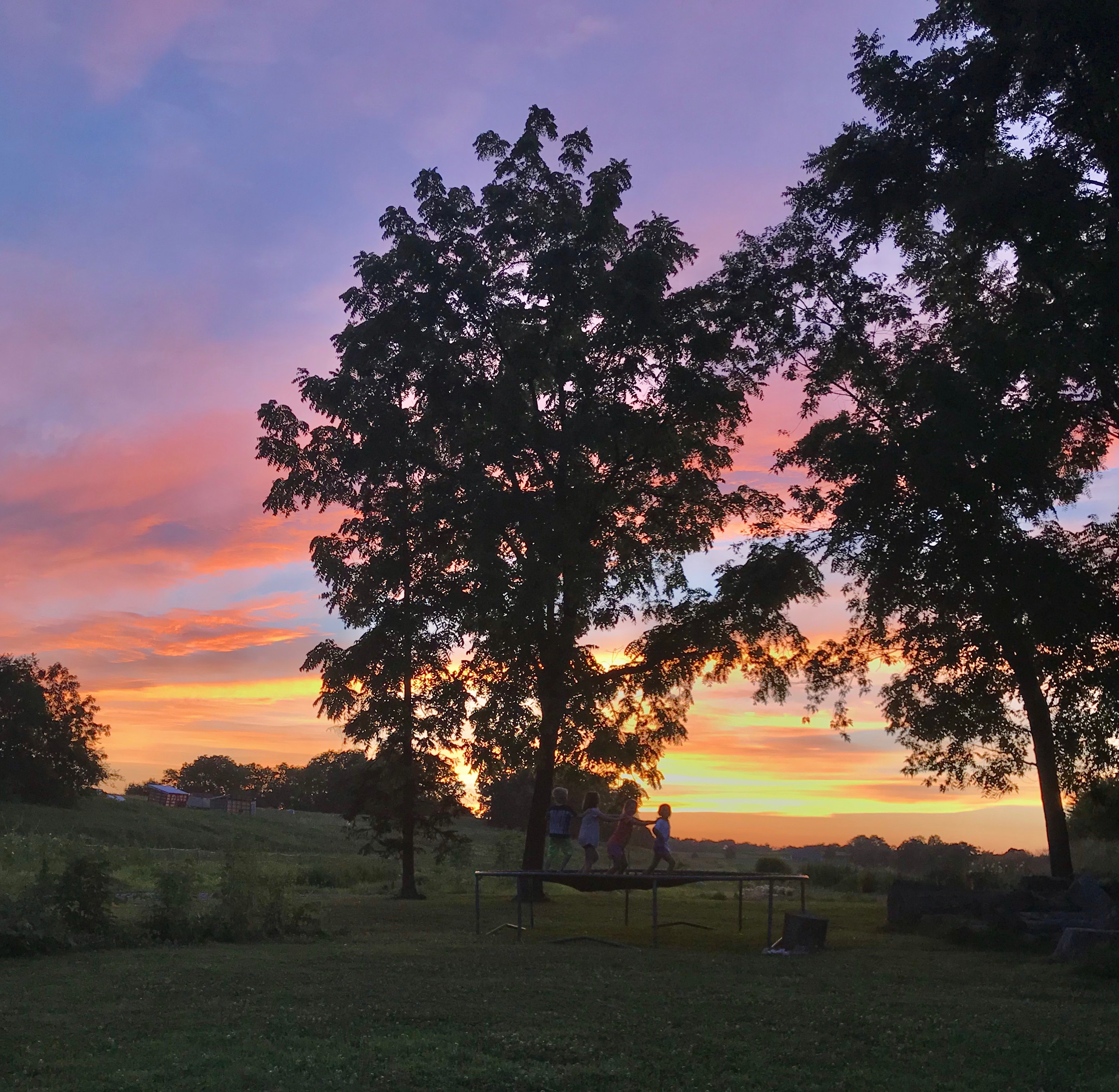 Fresh Summer Salad Share + New Extras! - Farm Happenings at Earth ...