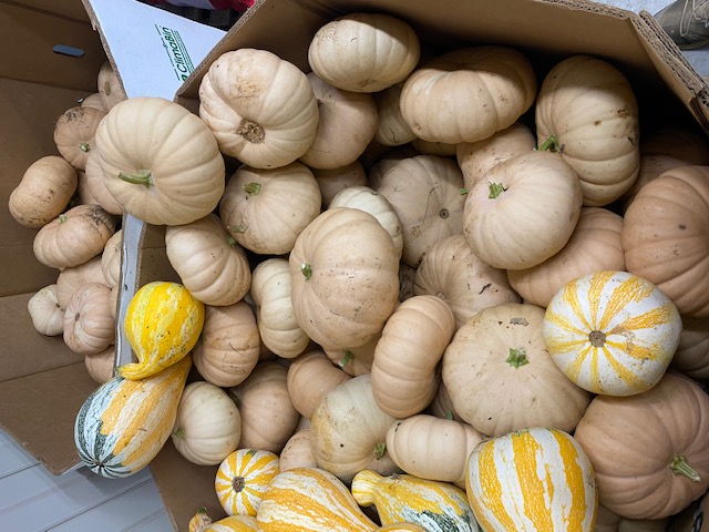 Farm Happenings for September 8, 2020 - Farm Happenings at Covey Rise ...