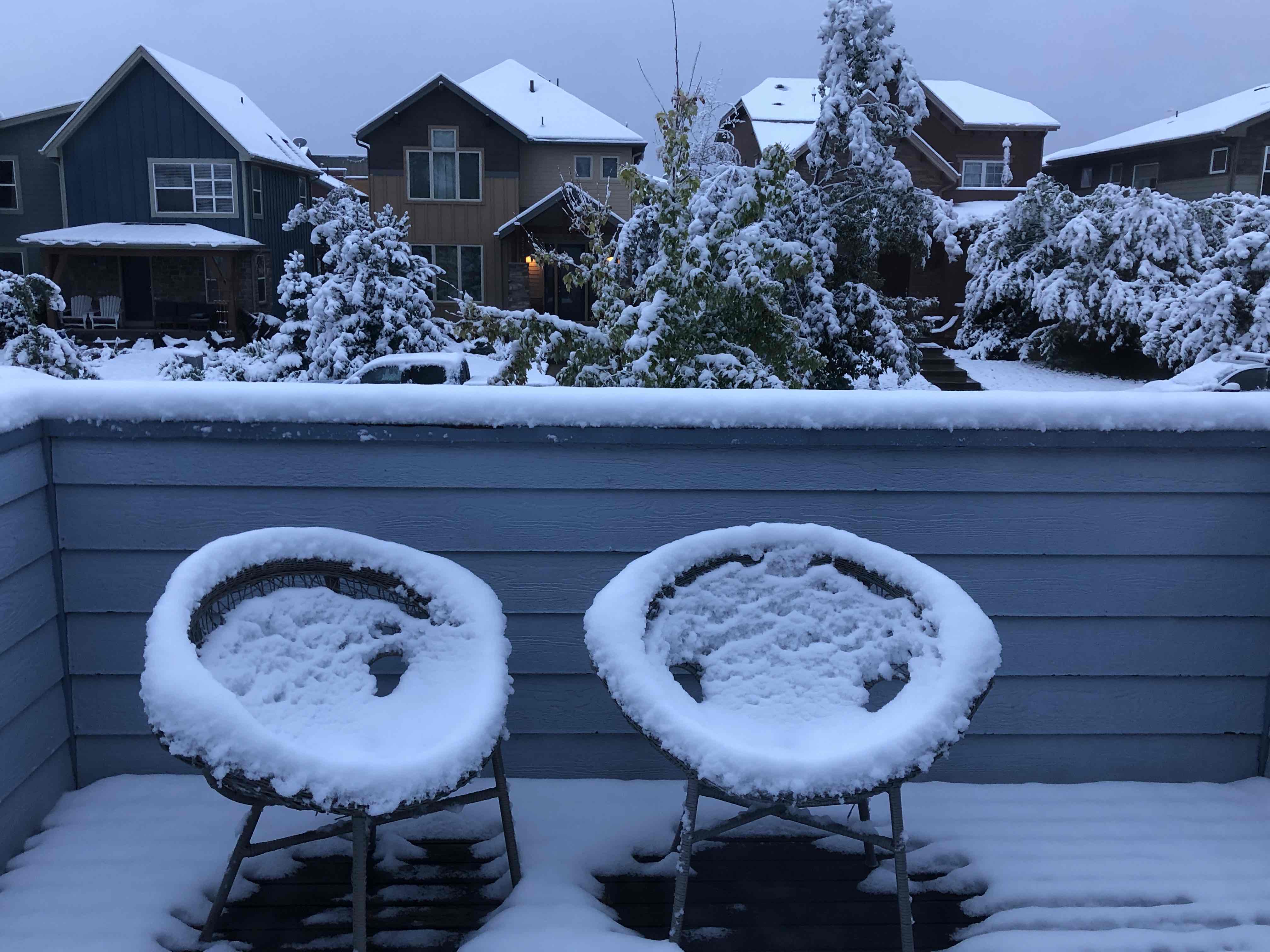 My Goodness, Week 15 is upon us. - Farm Happenings at Kilt Farm - Harvie