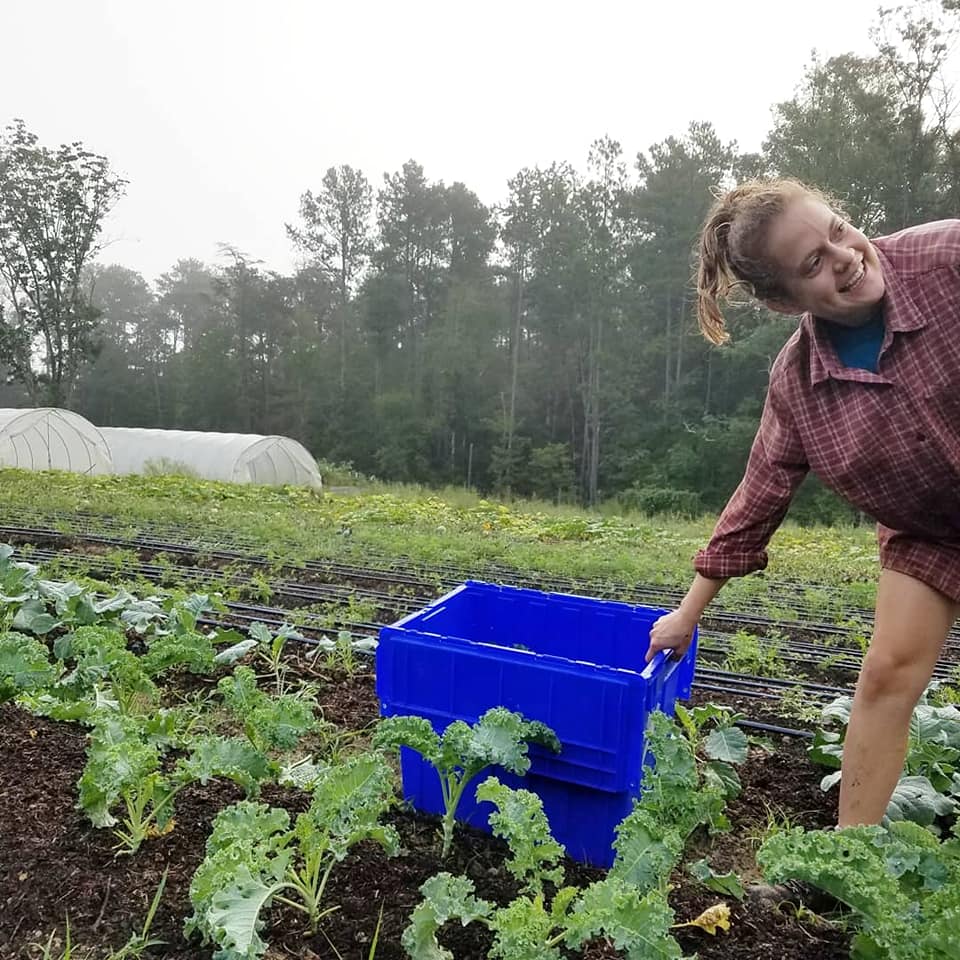 Farm Happenings for September 16, 2020 - Farm Happenings at Broadfork ...