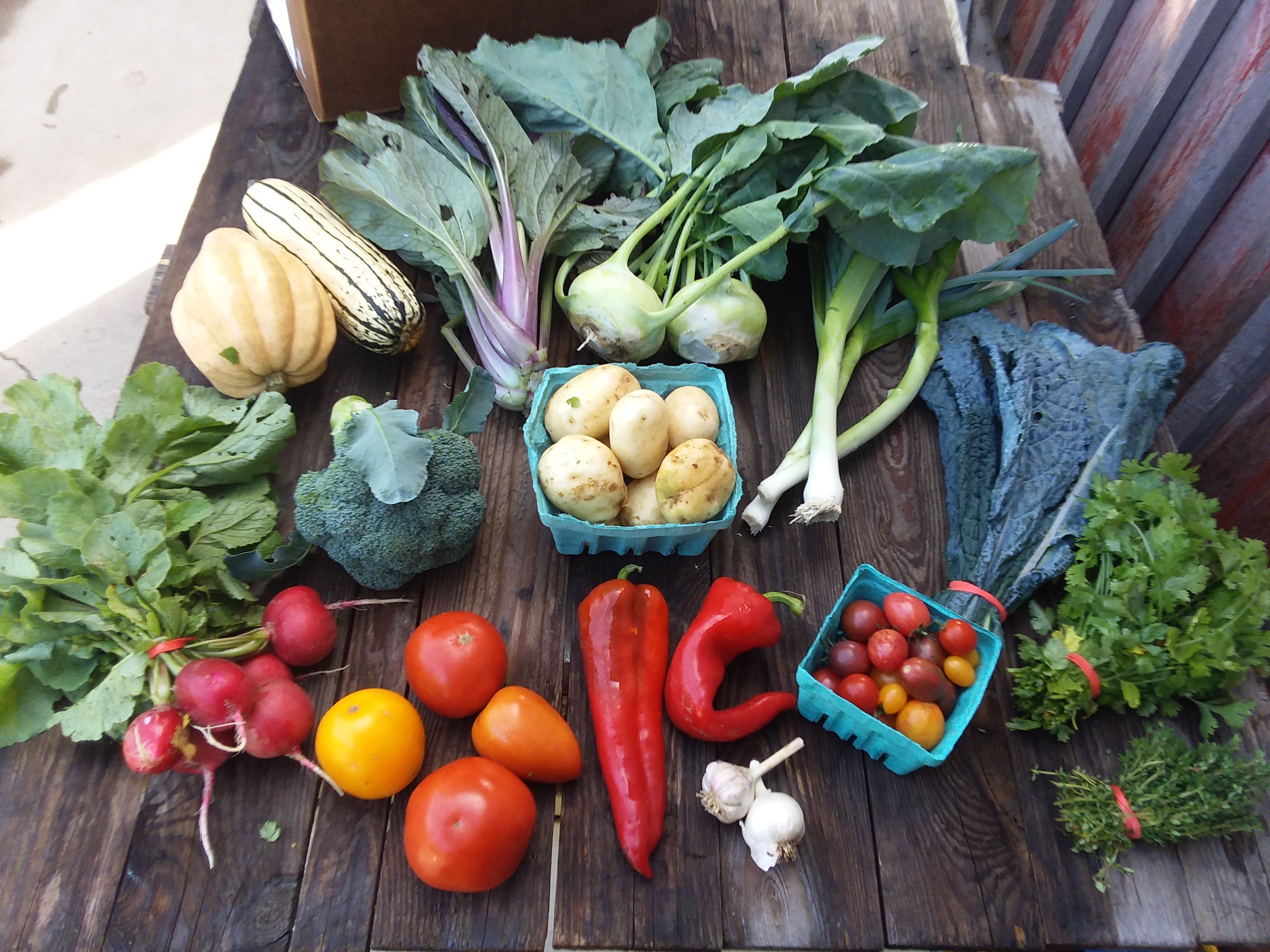 CSA Box 15 (Please Click on Continue Reading to see Whole Newsletter ...
