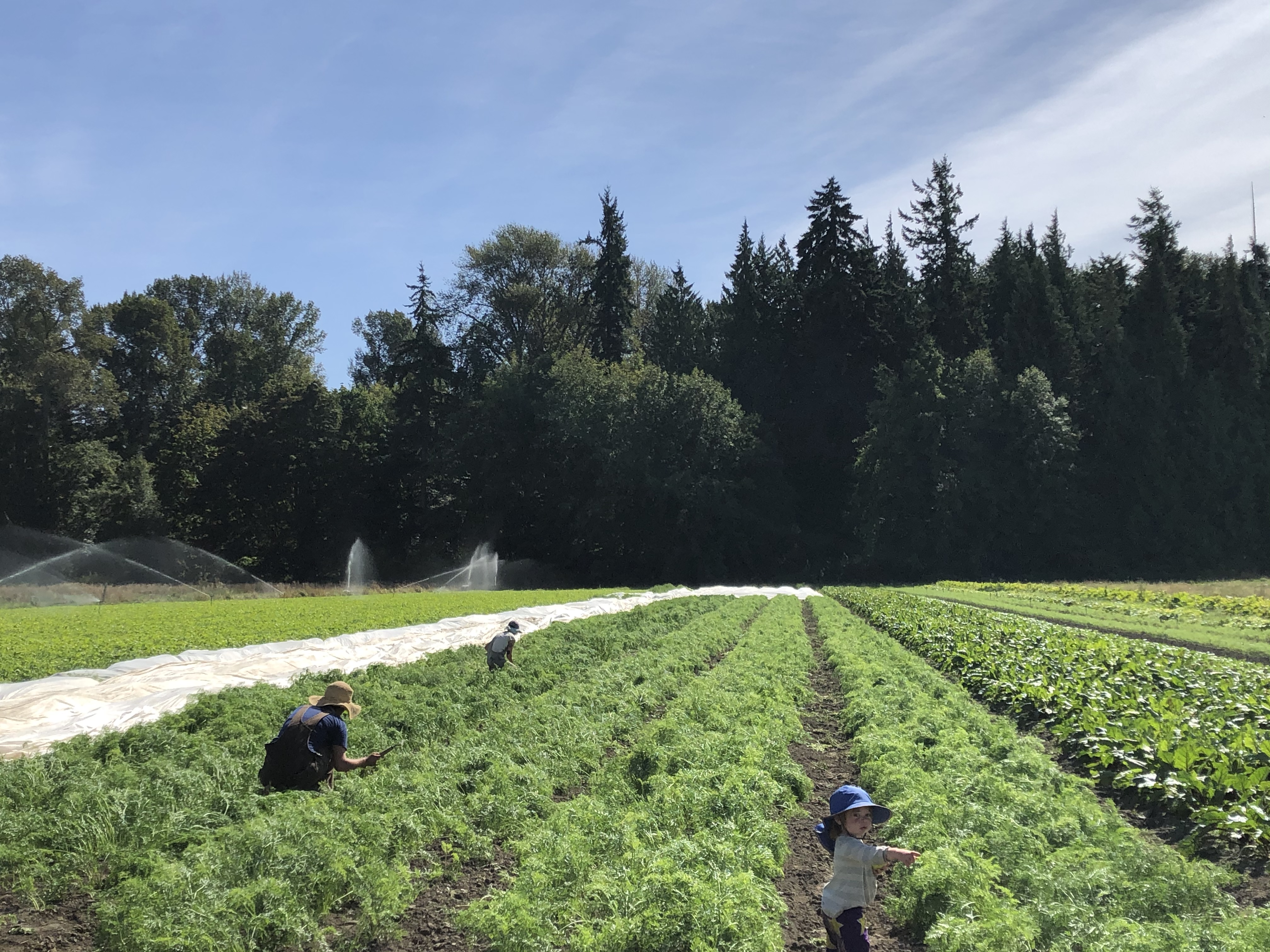 Farm Happenings for September 17, 2020 - Farm Happenings at River Run ...