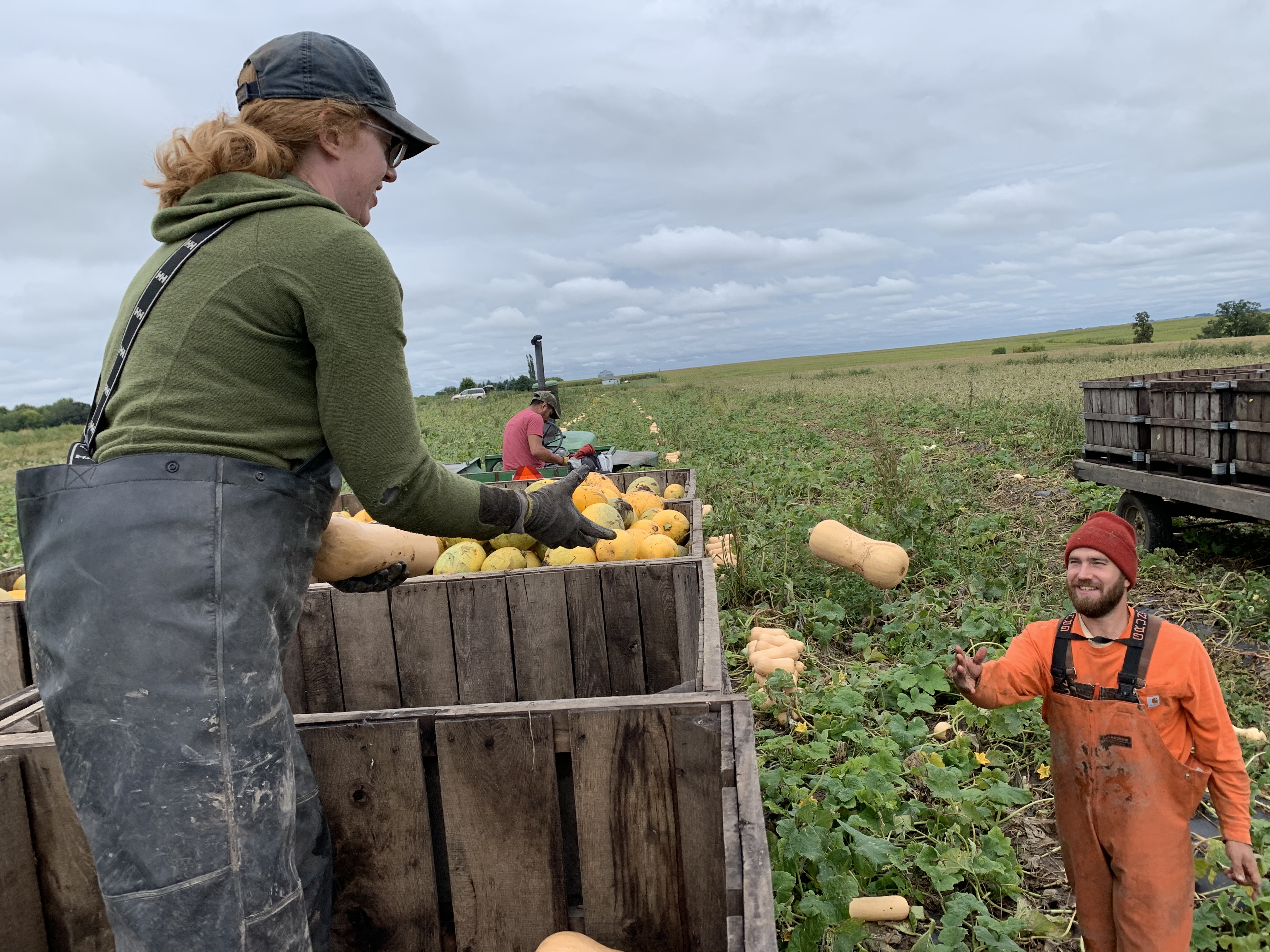 Liam on the Fall Harvest! - Farm Happenings at Featherstone Farm - Harvie