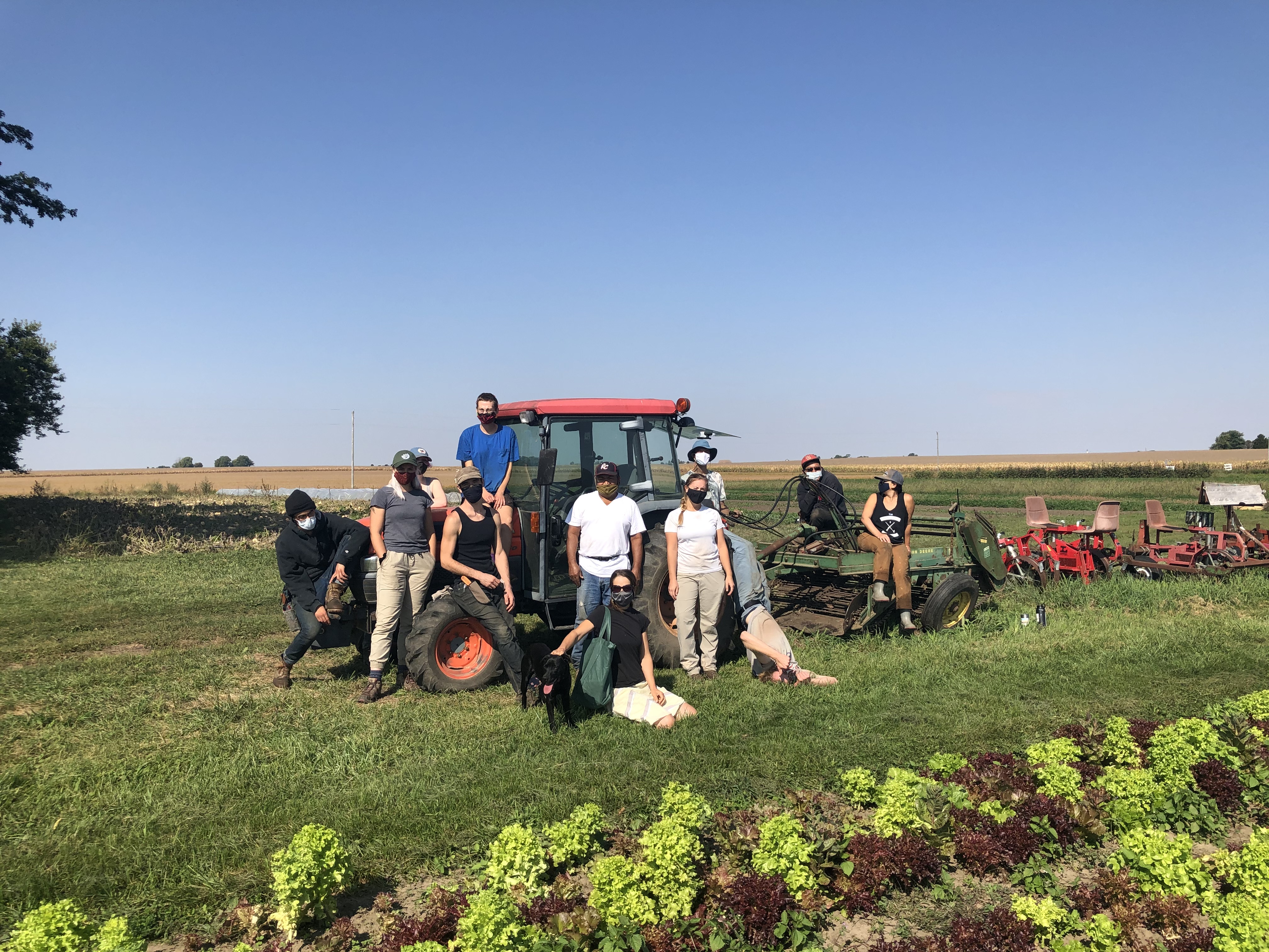 Farm Happenings for September 30, 2020: Fall CSA Shares Coming Soon ...