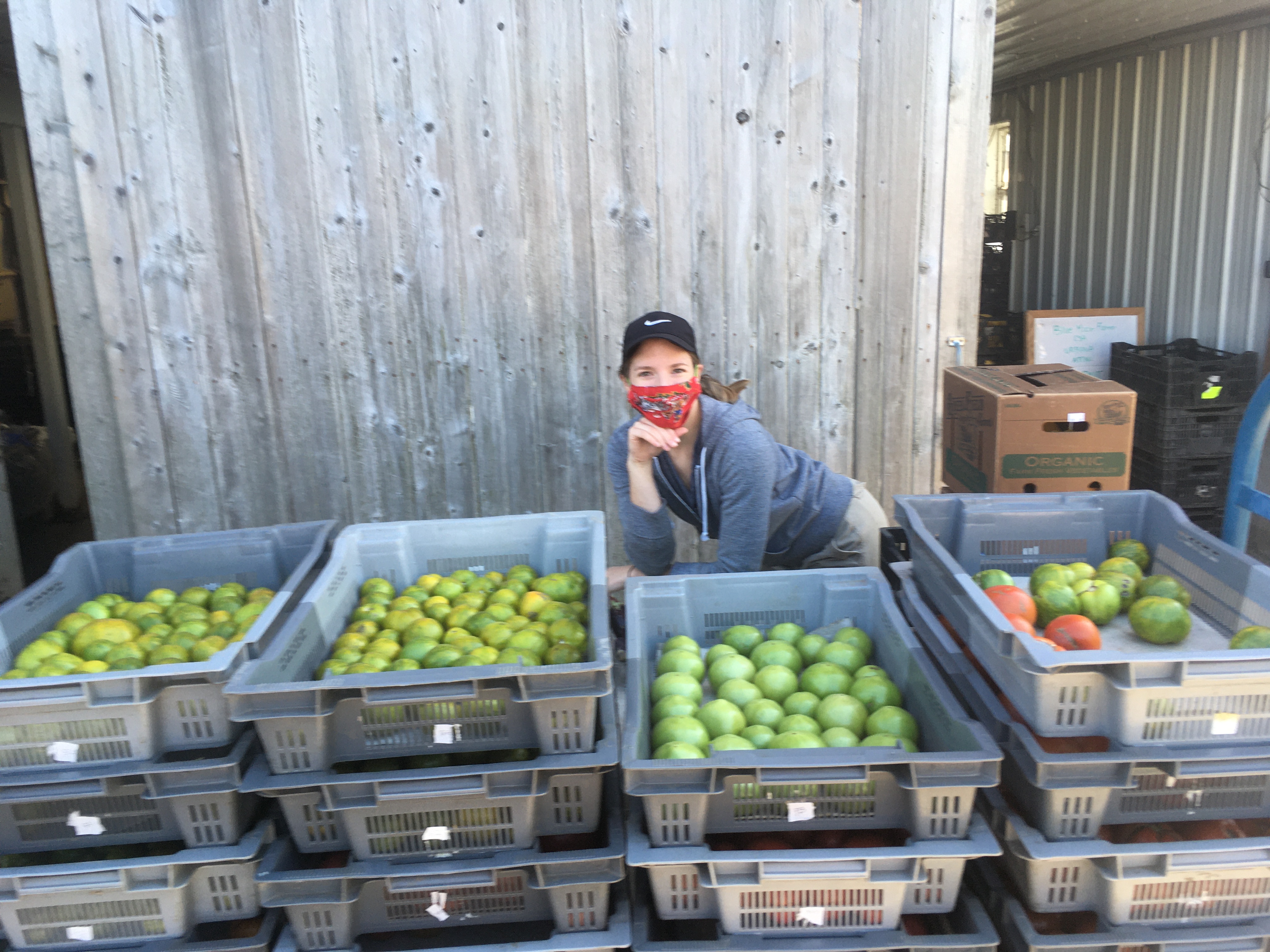 Farm Happenings for October 7, 2020: Fall Shares Ready - Farm ...