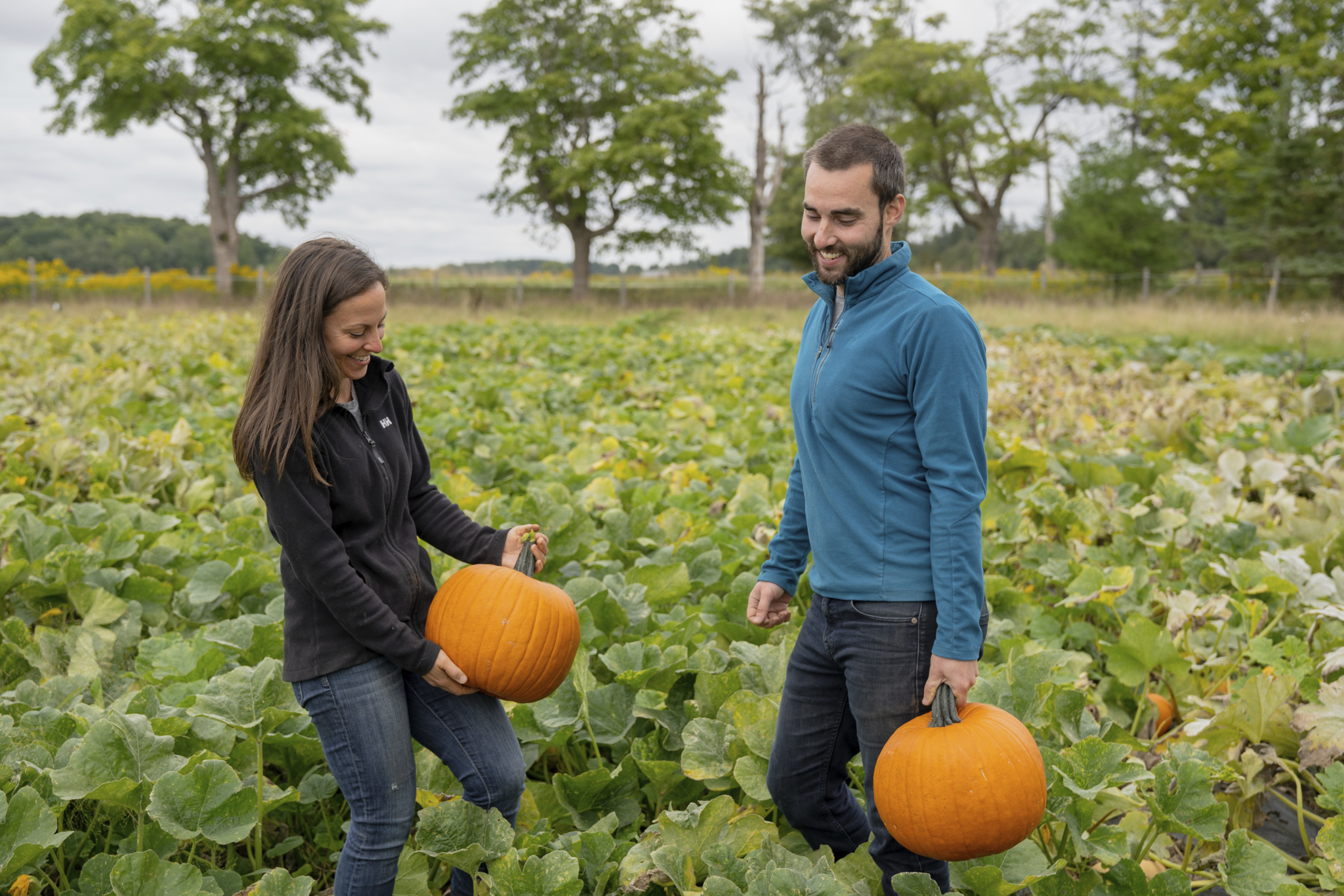 Farm Share - Week 18 - Farm Happenings at Salad Days Farm - Harvie