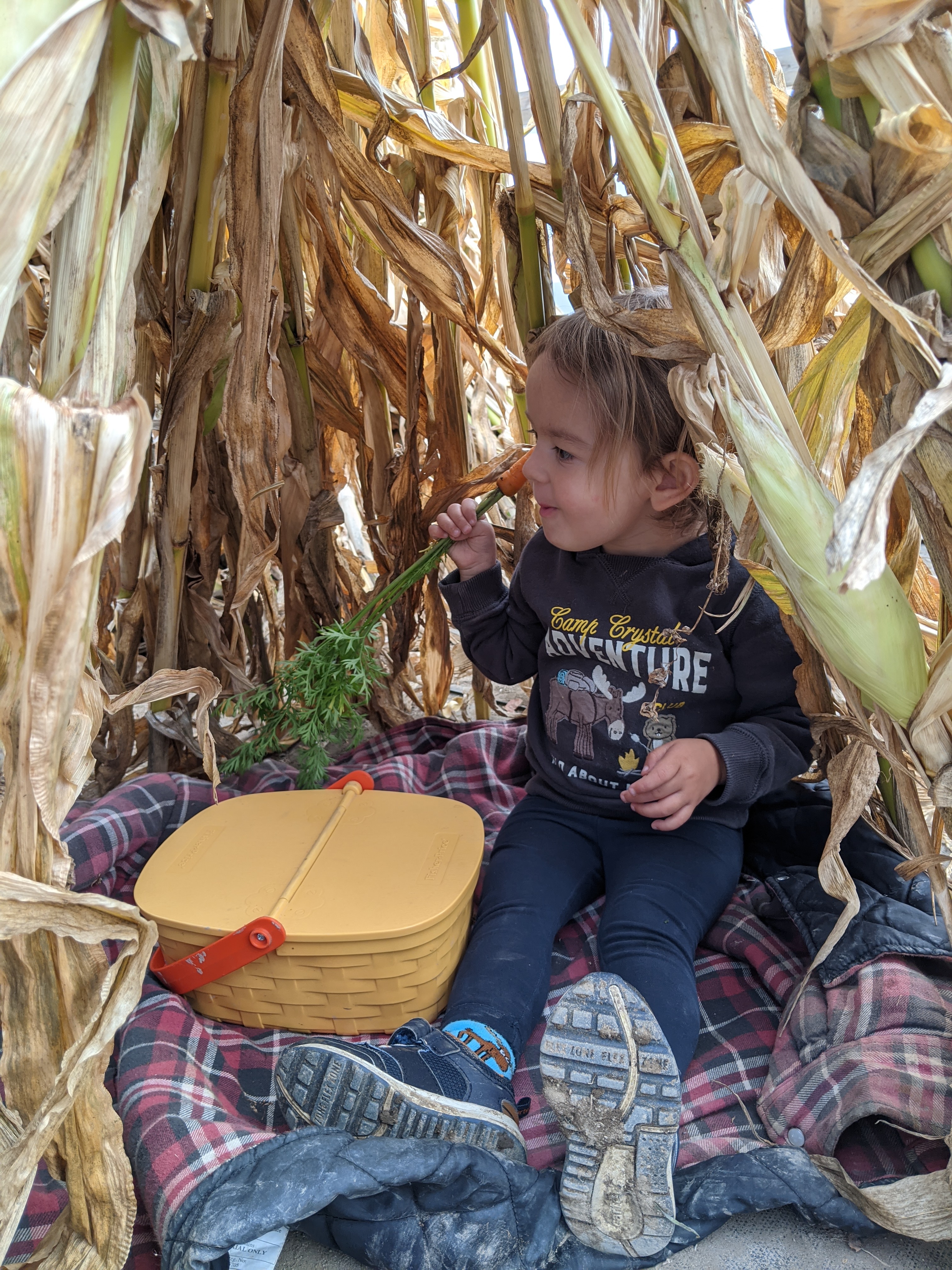 Farm Share Week 19 - Gratitude - Farm Happenings at Mulberry Moon Farm ...