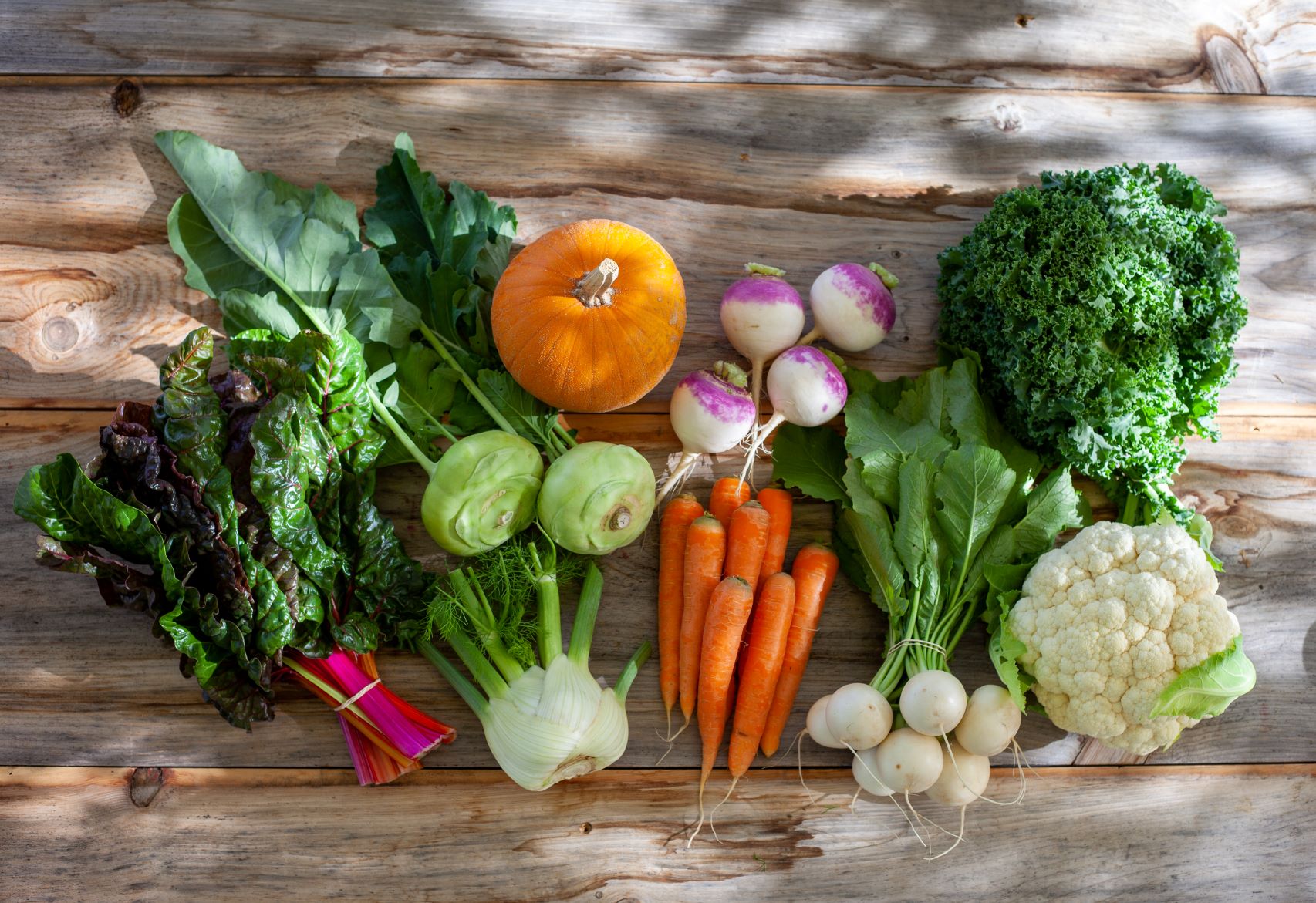 Farm Share - Oct 24 - FINAL WEEK - Farm Happenings at Salad Days Farm ...