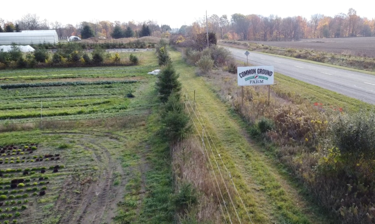 Farm Happenings for October 29, 2020 - Farm Happenings at Common Ground ...