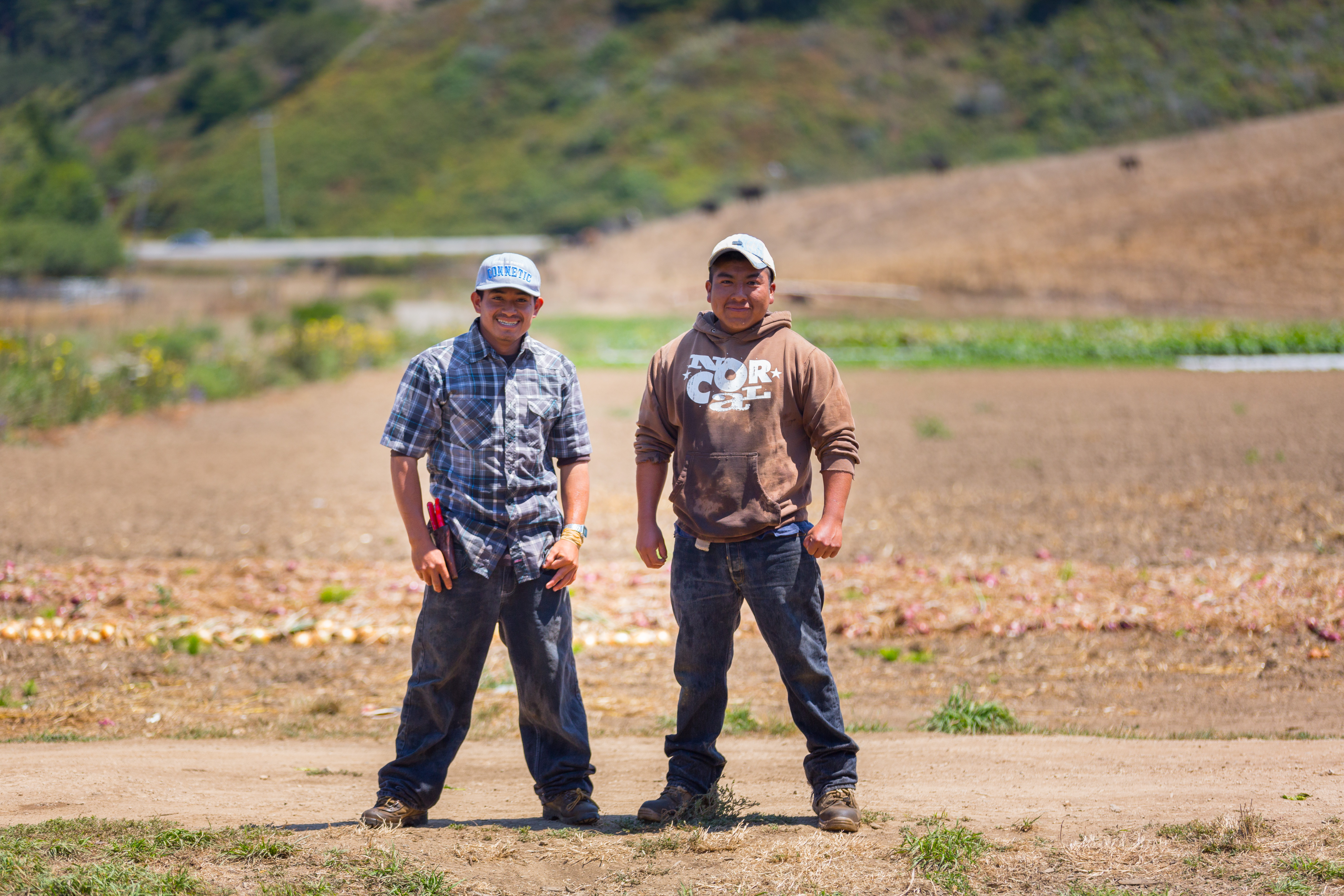 Farm News for November 12, 2020 - Farm Happenings at Fifth Crow Farm ...