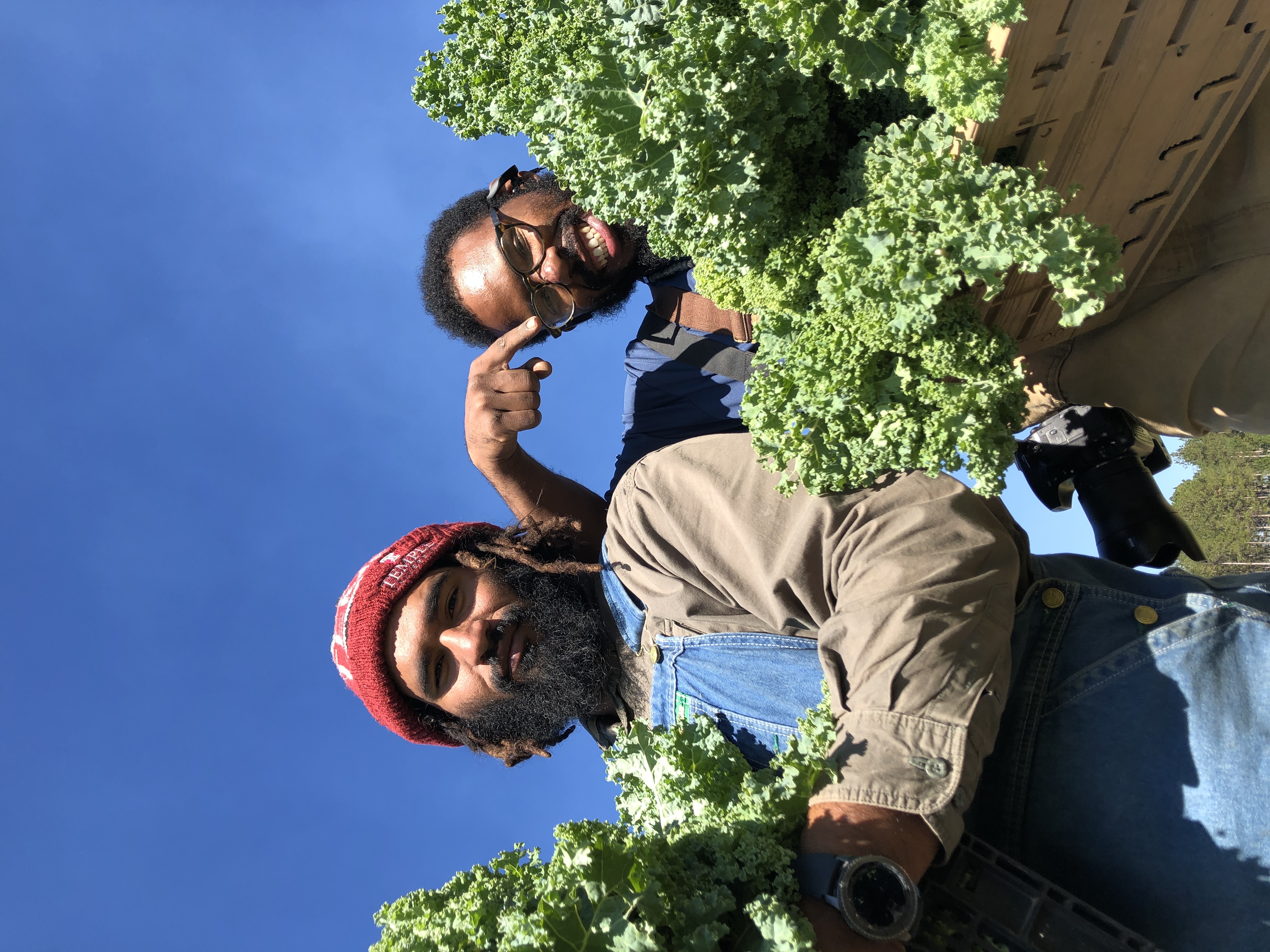 The Holidays have Arrived! - Farm Happenings at Atlanta Harvest - Harvie