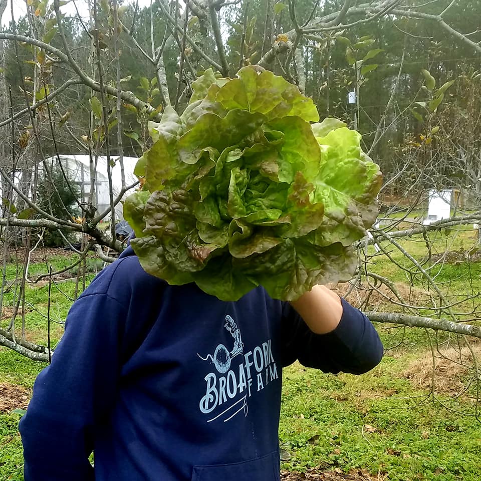 Farm Happenings for December 10, 2020 - Farm Happenings at Broadfork ...