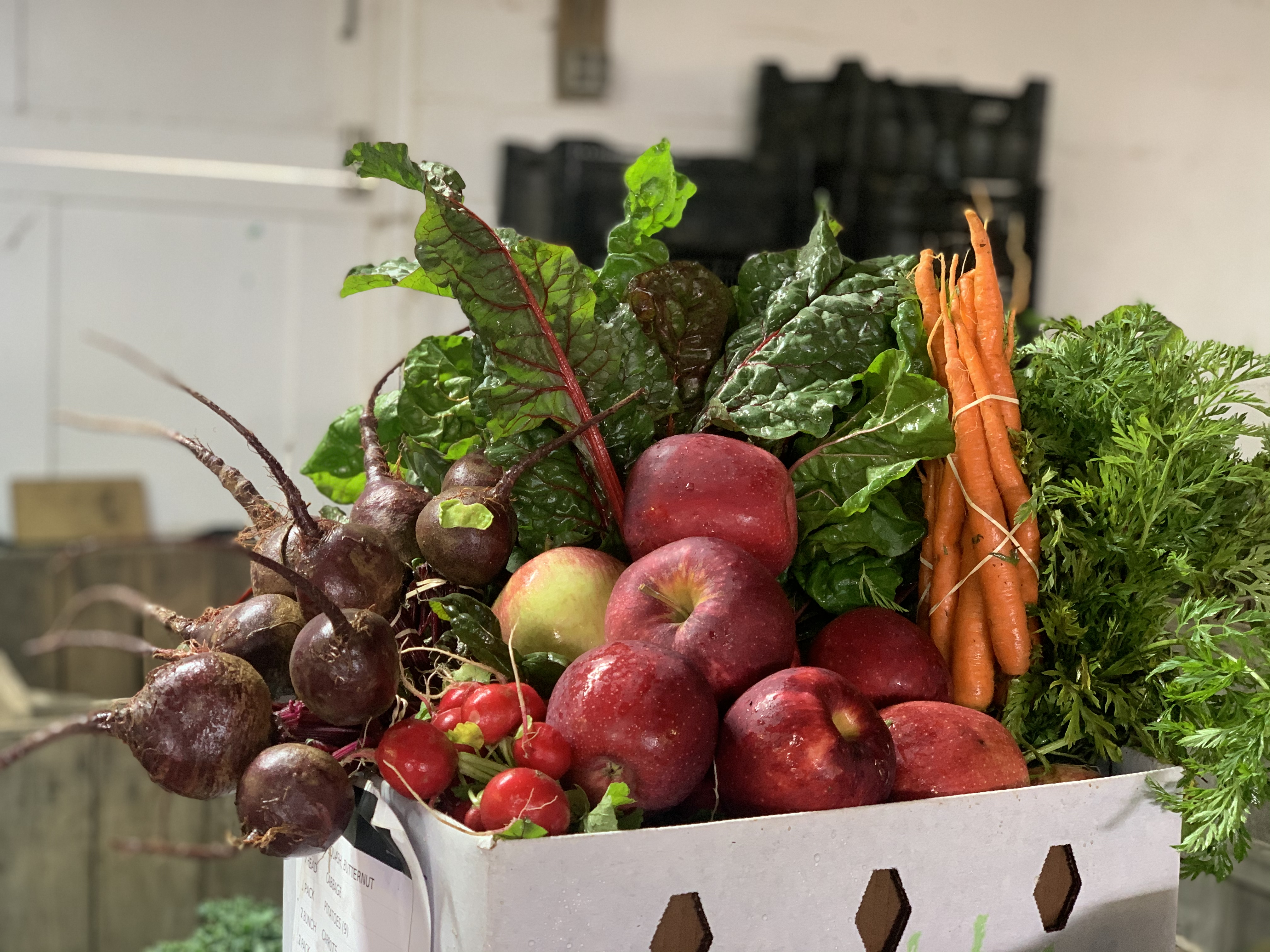 Holiday Harvest Week 3 - Farm Happenings at Alstede Farms - Harvie