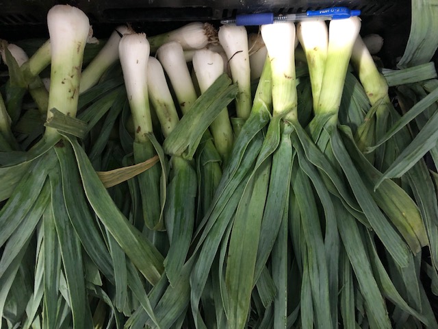 Farm Happenings for December 28, 2020 - Farm Happenings at Covey Rise ...