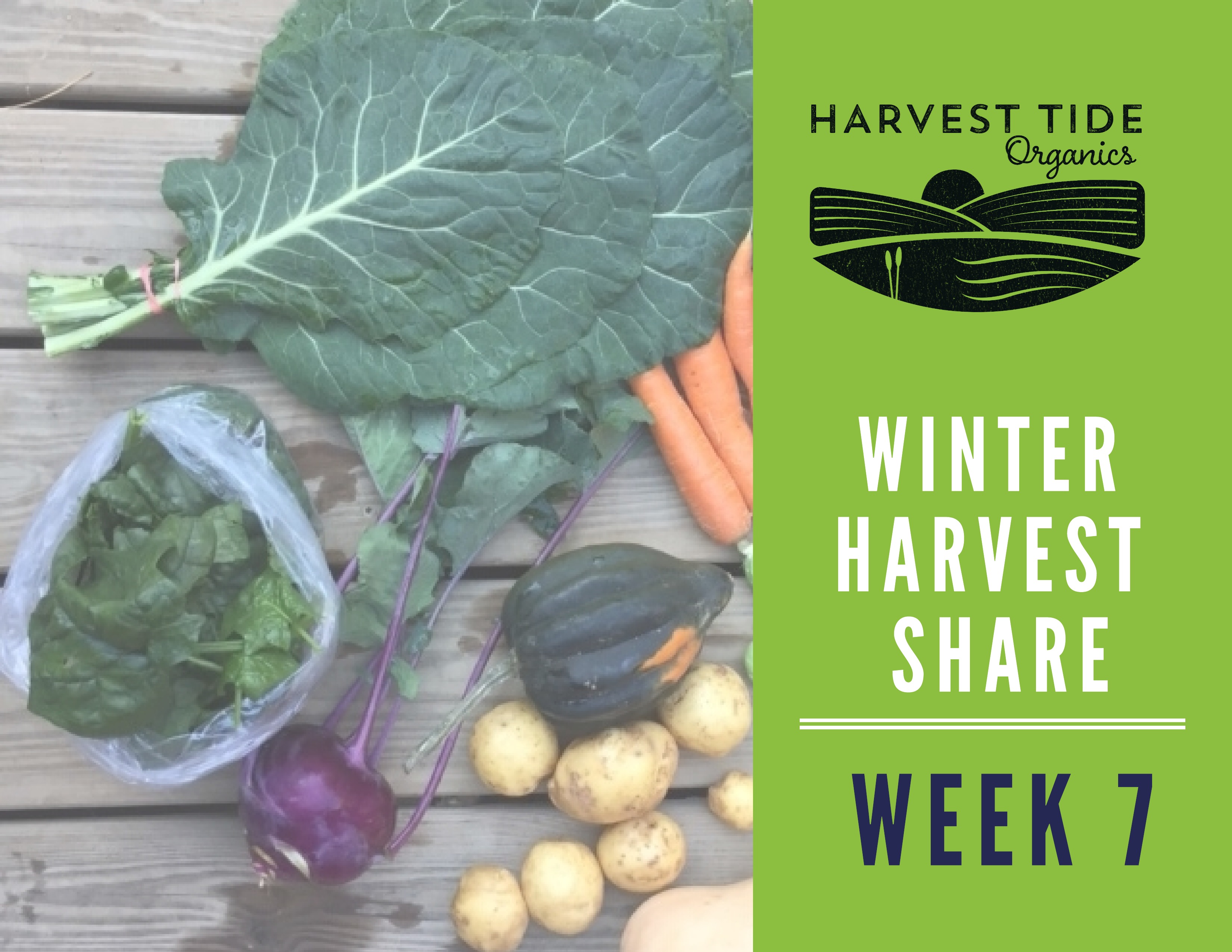 Winter Harvest Share - Week 7 - Farm Happenings at Harvest Tide ...