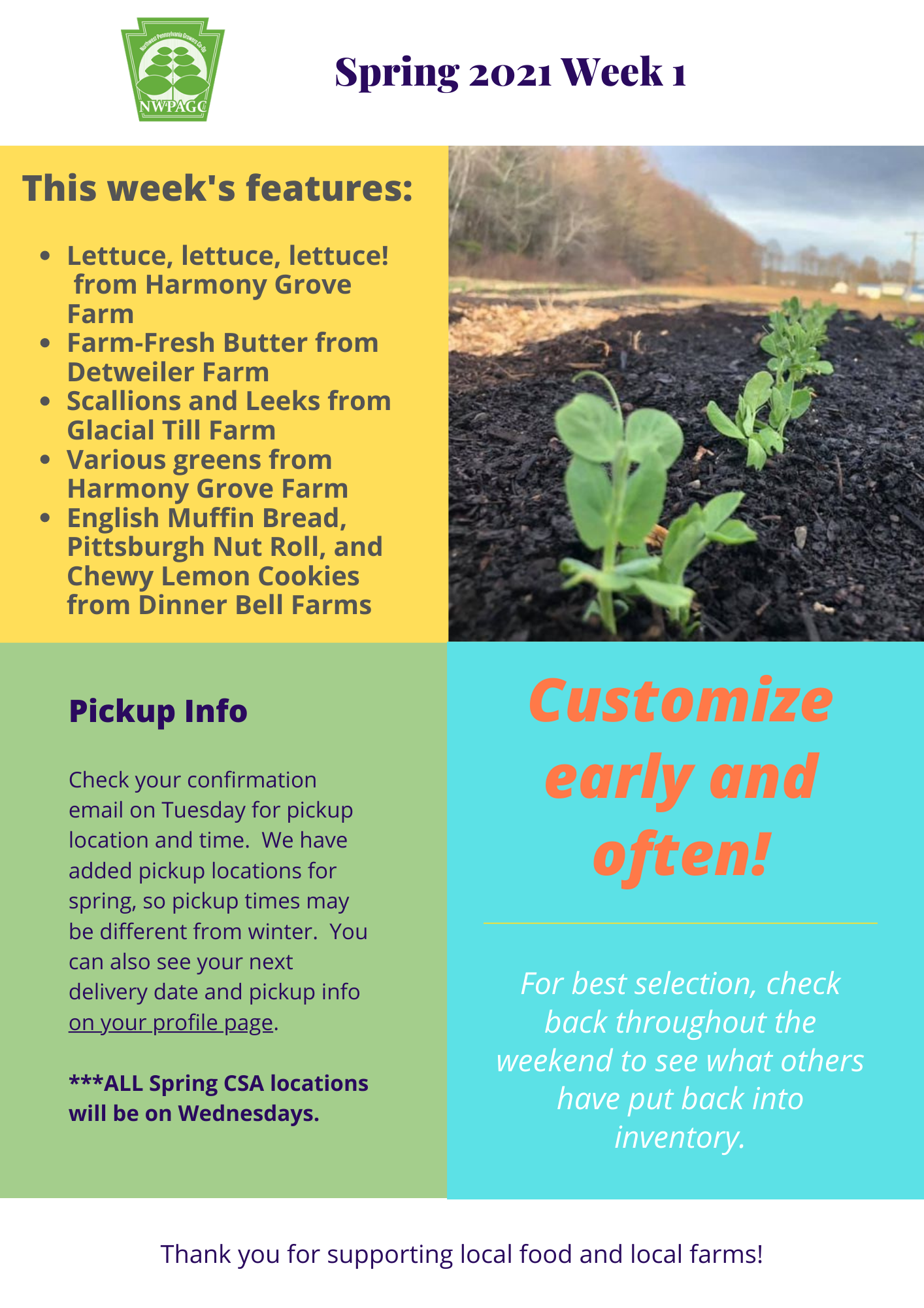 Spring CSA Week 1 March 31 - Farm Happenings at NWPA Growers Co-op - Harvie