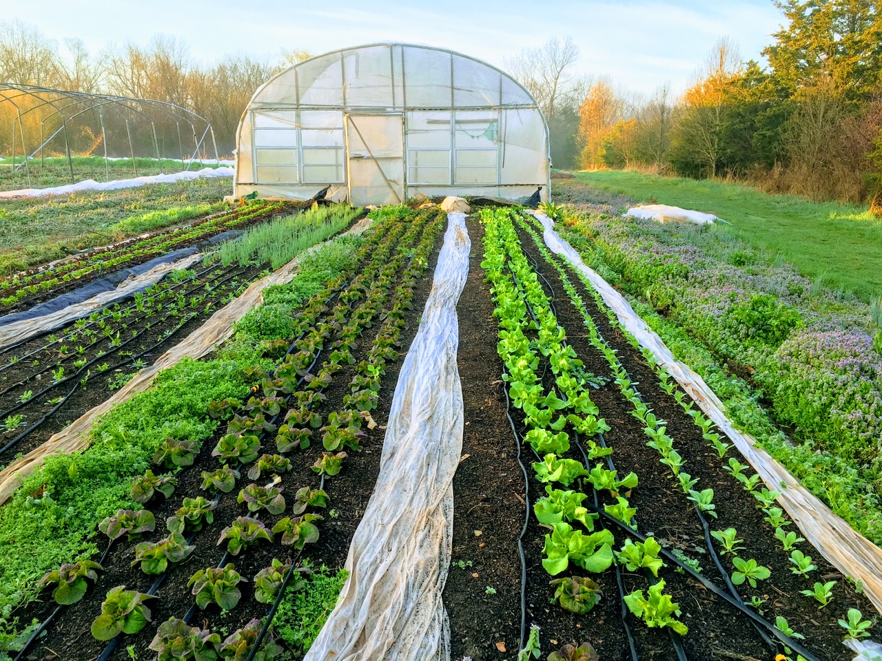 Last week of March, Getting Things Done! - Farm Happenings at Millsap ...