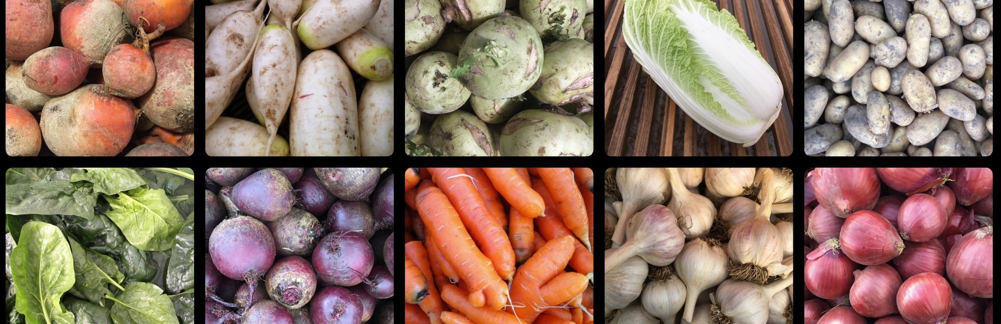 What are spring veggies? - Farm Happenings at Fiddlehead Farm - Harvie