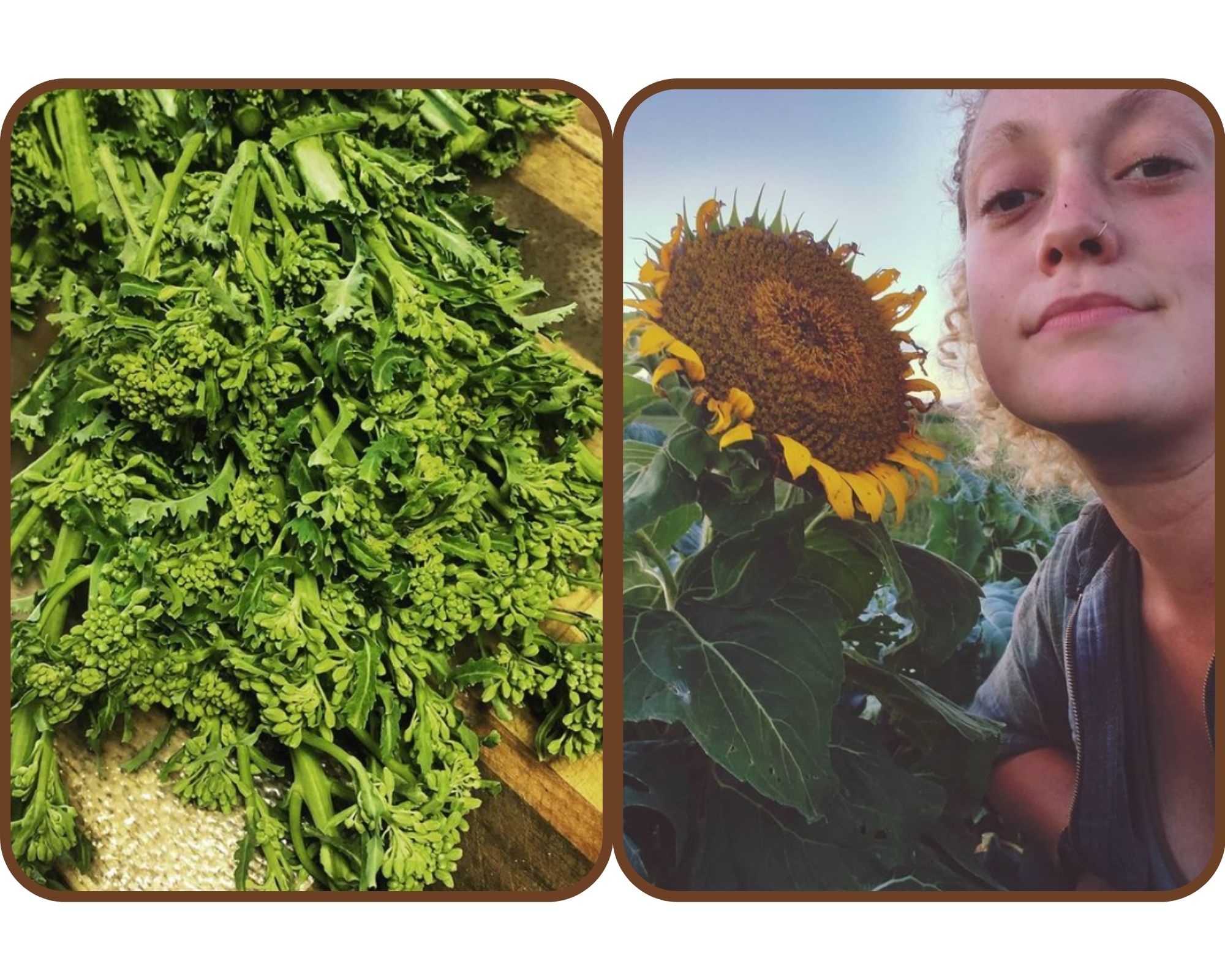 Lettuce Rejoice! April 8, 2021 - Spring CSA Kick off & Oodles of Eggs ...