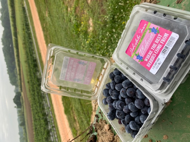 Farm Happenings for May 4, 2021 - Farm Happenings at Covey Rise Farms ...