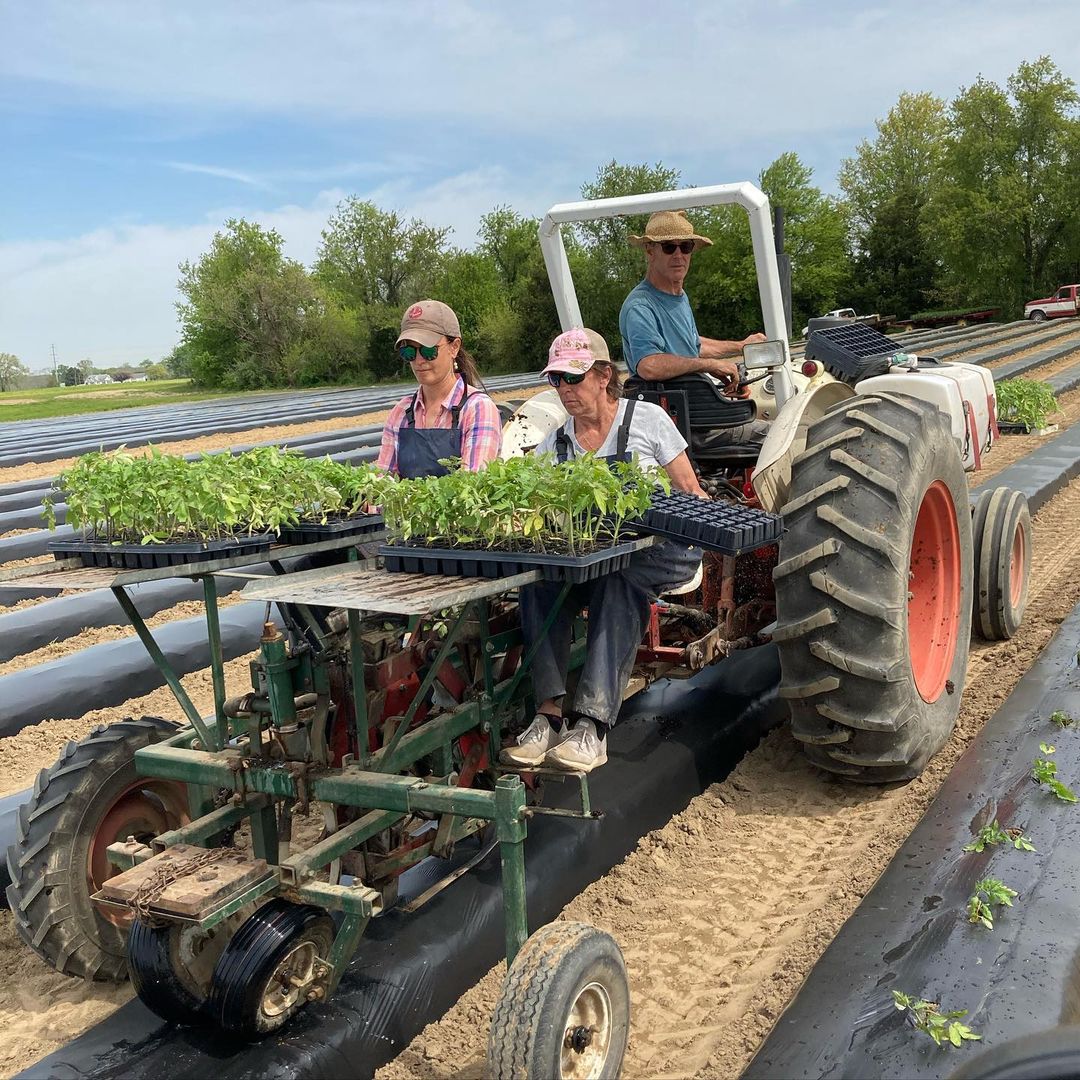 Farm Happenings CSA Week 1 for May 11, 2020 - Farm Happenings at A.T ...
