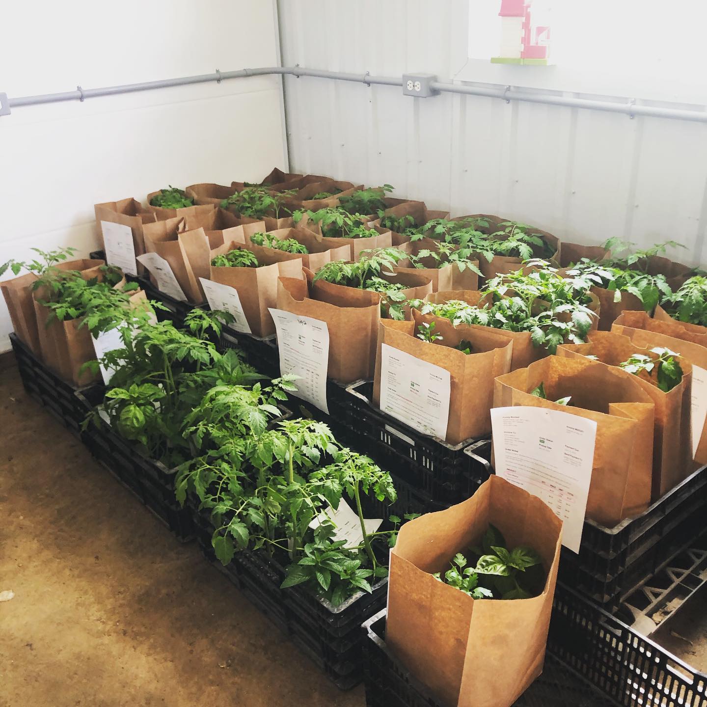 Farm Happenings for May 20, 2021 - Farm Happenings at Firmly Rooted ...