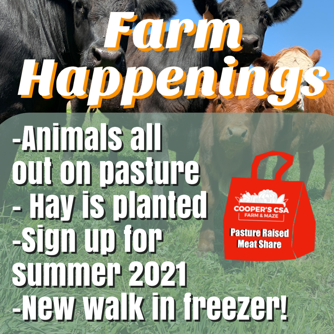 Winter/Spring Meat Share May18th-22nd-Coopers CSA Farm Happenings ...