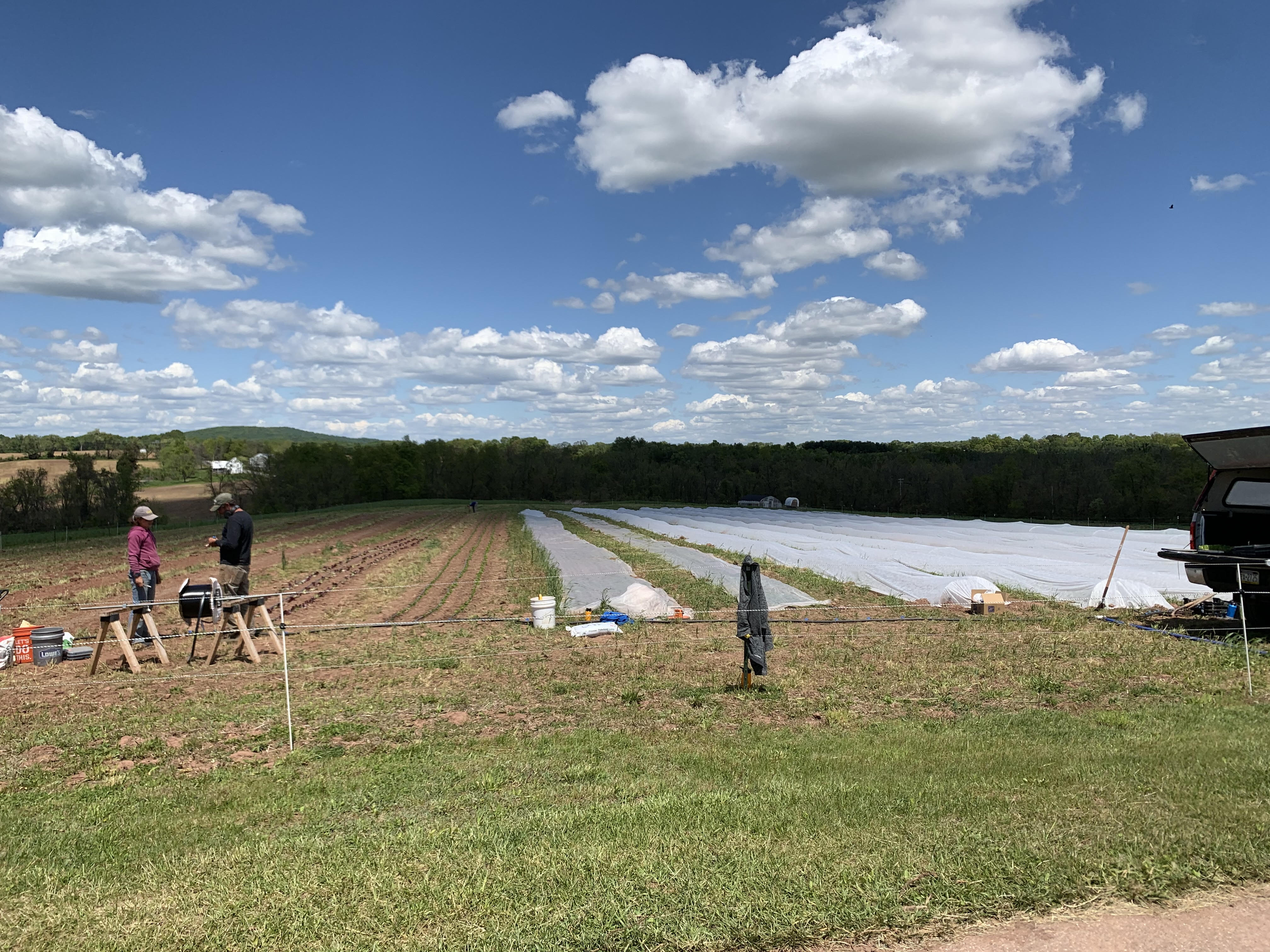 Summer crops going to the field this week! - Farm Happenings at Mad ...