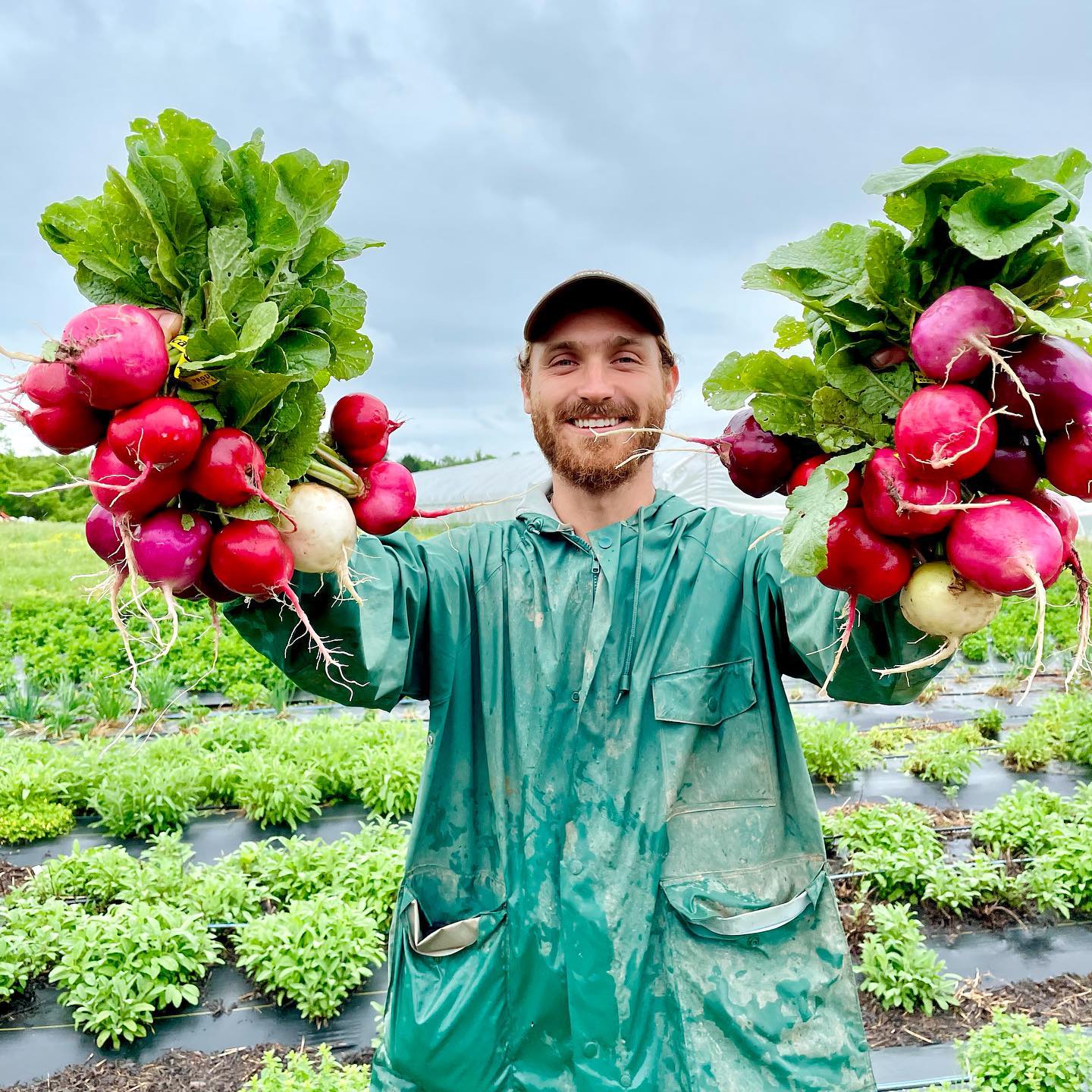 Let's Get Seasonal - Farm Happenings at Willowsford Farm - Harvie