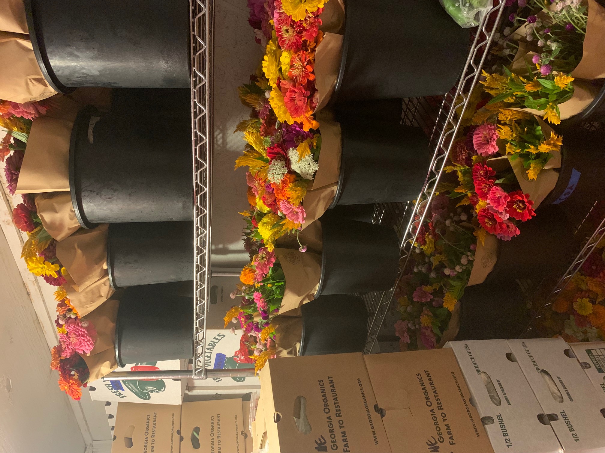 Farm Happenings for June 16, 2021 - Farm Happenings at Snapfinger Farm ...